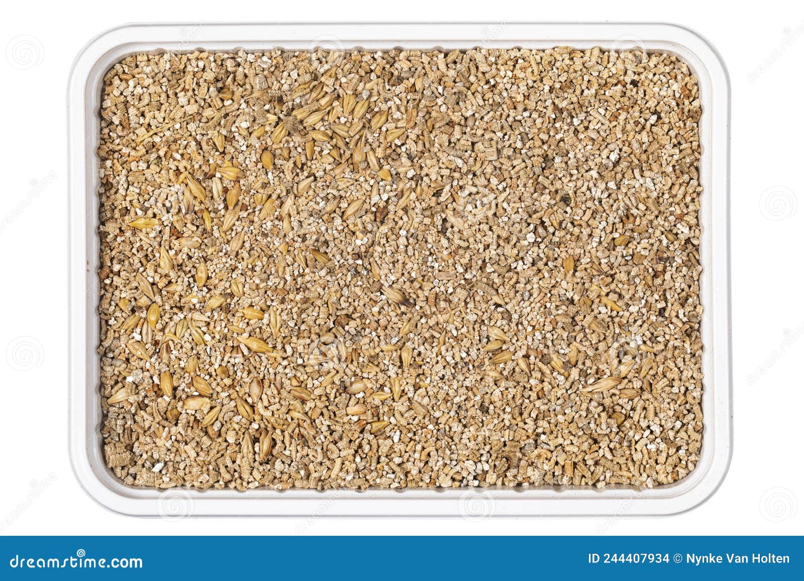 Top View White Plastic Container on White Background Stock Photo ...