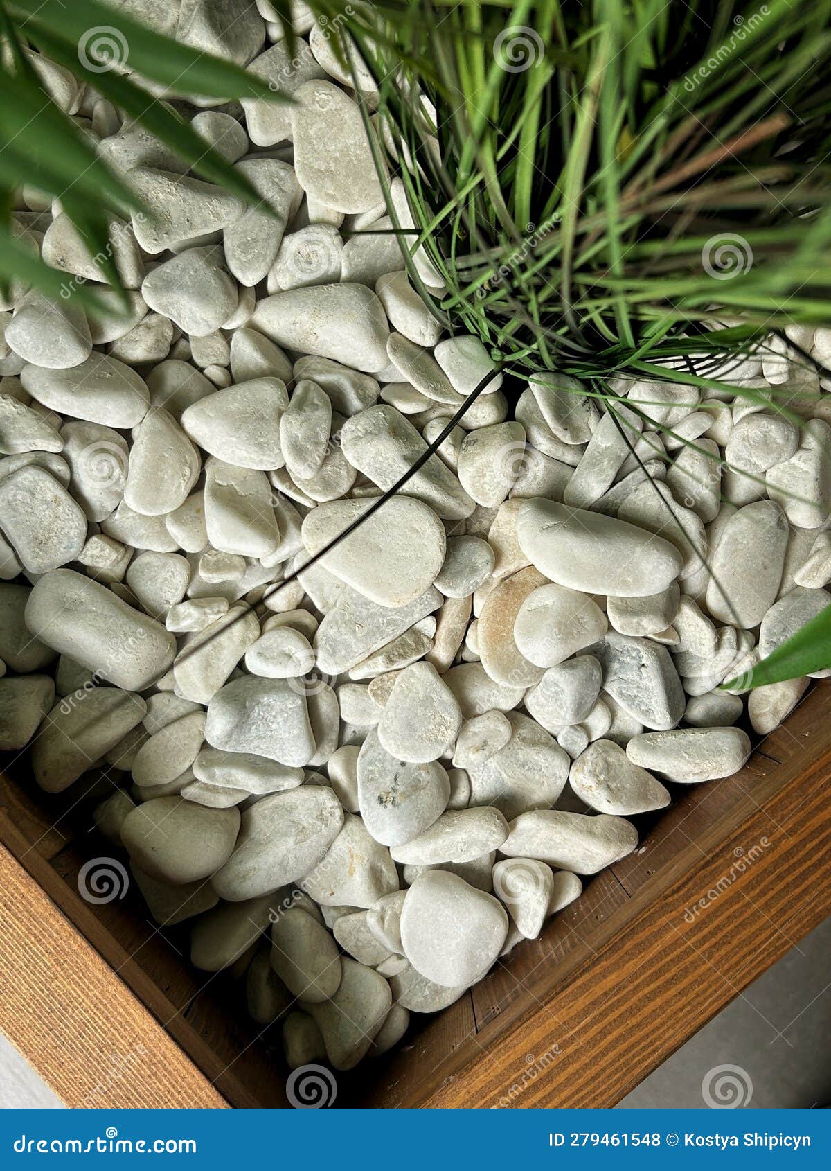 Top View of White Stones in a Square Pot Stock Photo - Image of wall ...