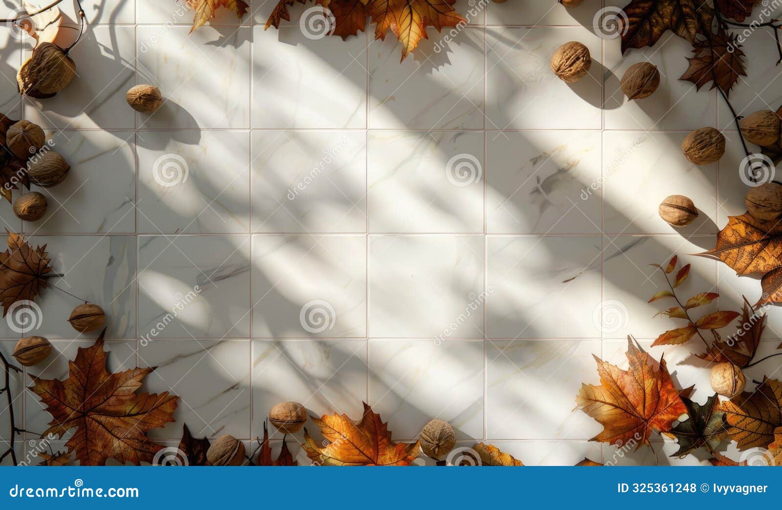 Top View of a White Tile Countertop, Frame of Autumn Leaves and Nuts ...