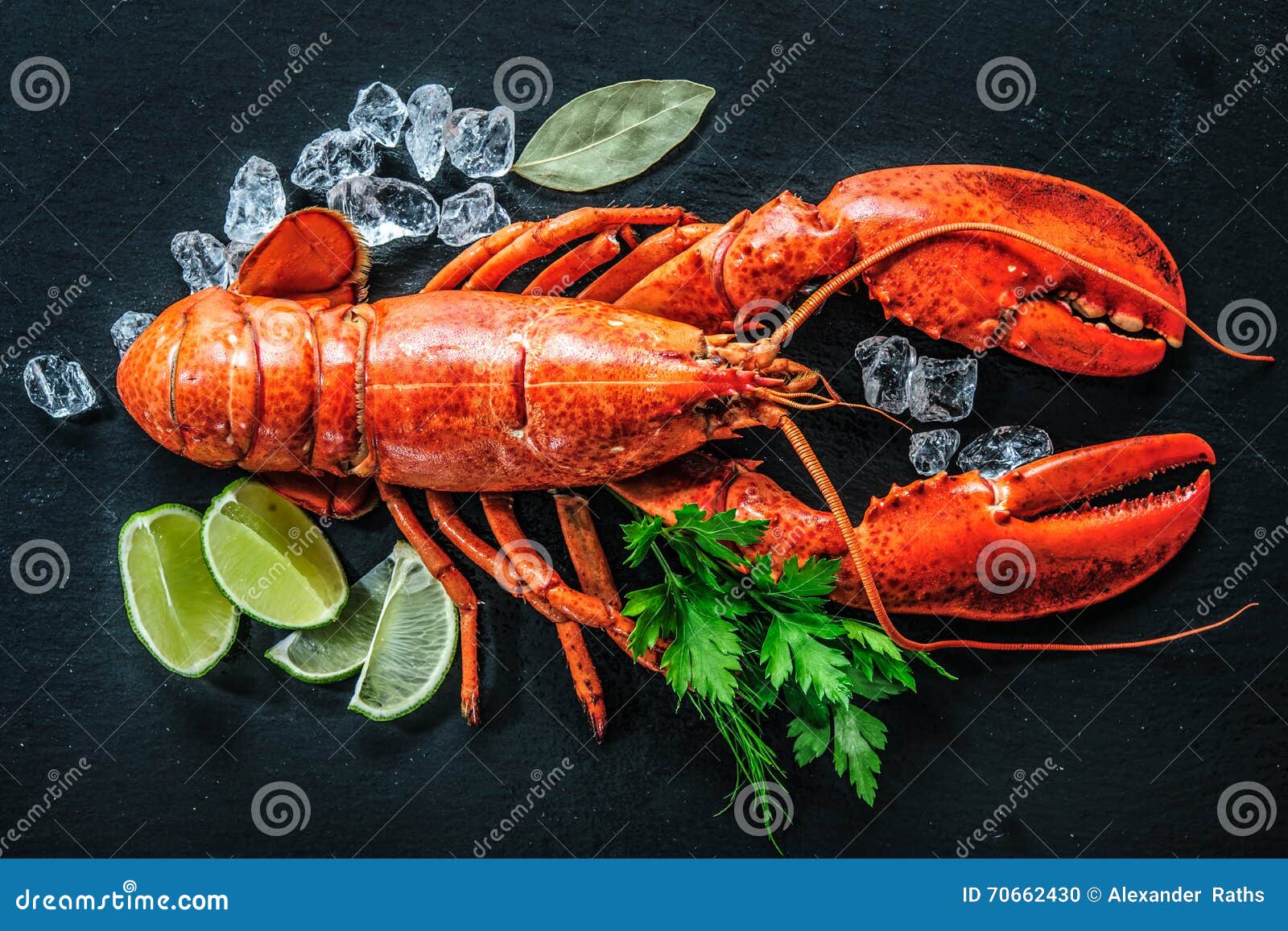 Top View of Whole Red Lobster with Ice and Lime Stock Photo - Image of ...