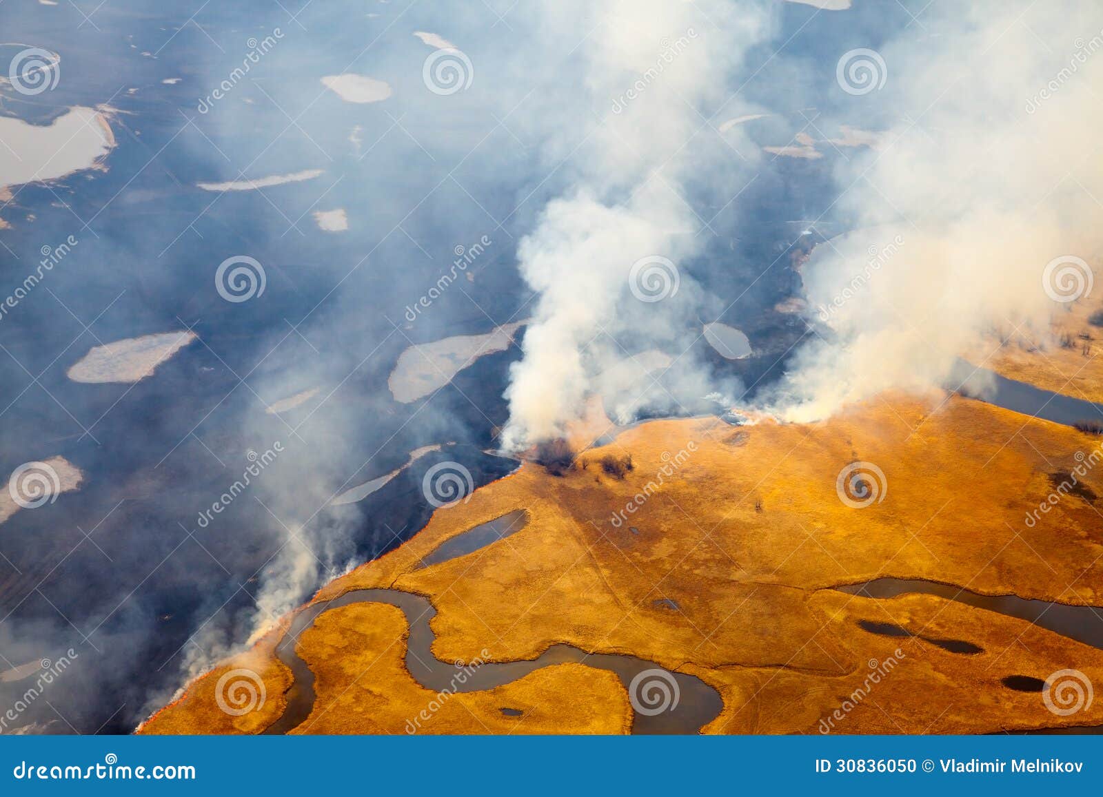 Top view of wildfire stock photo. Image of life, disaster - 30836050