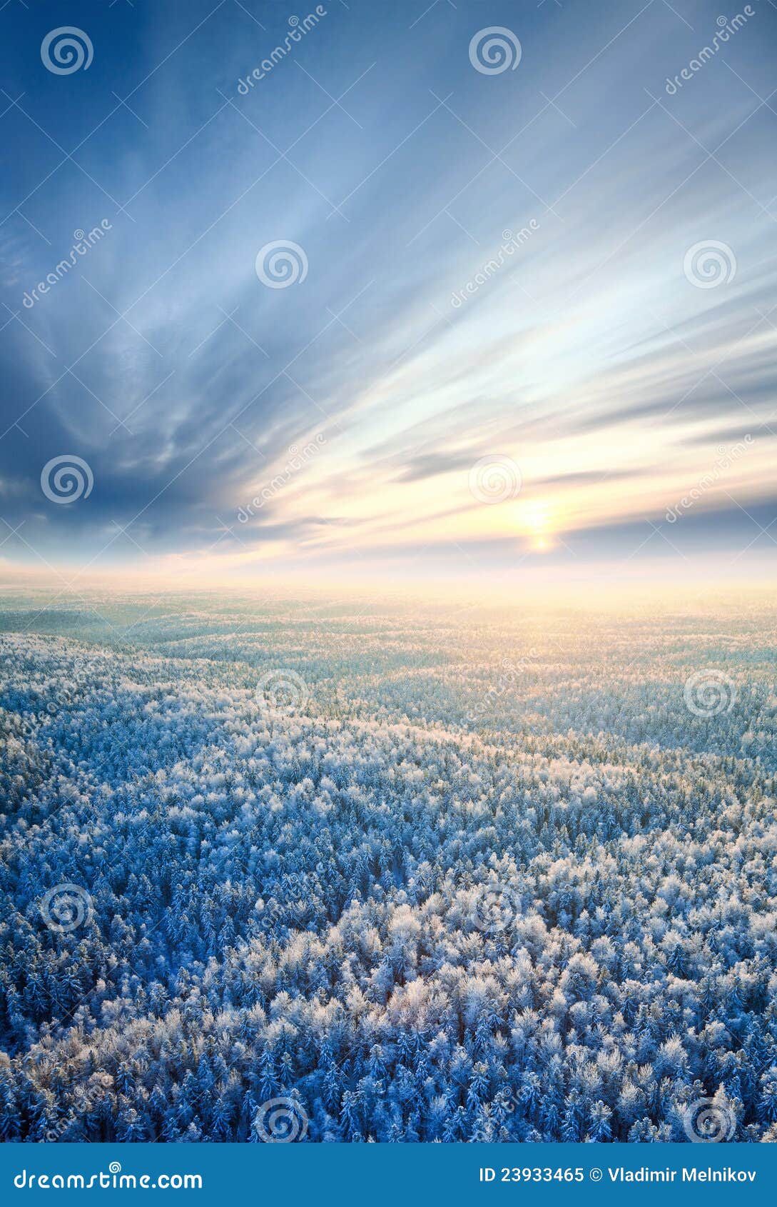 Top view of winter forest stock image. Image of bright - 23933465