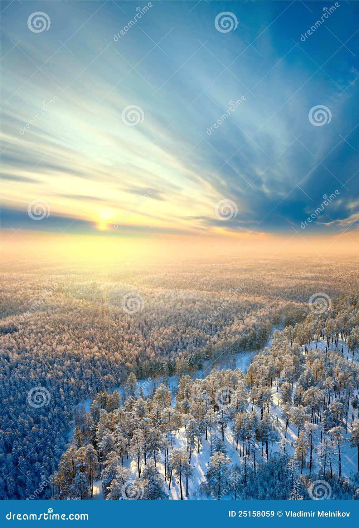 Top view of winter forest stock image. Image of blue - 25158059