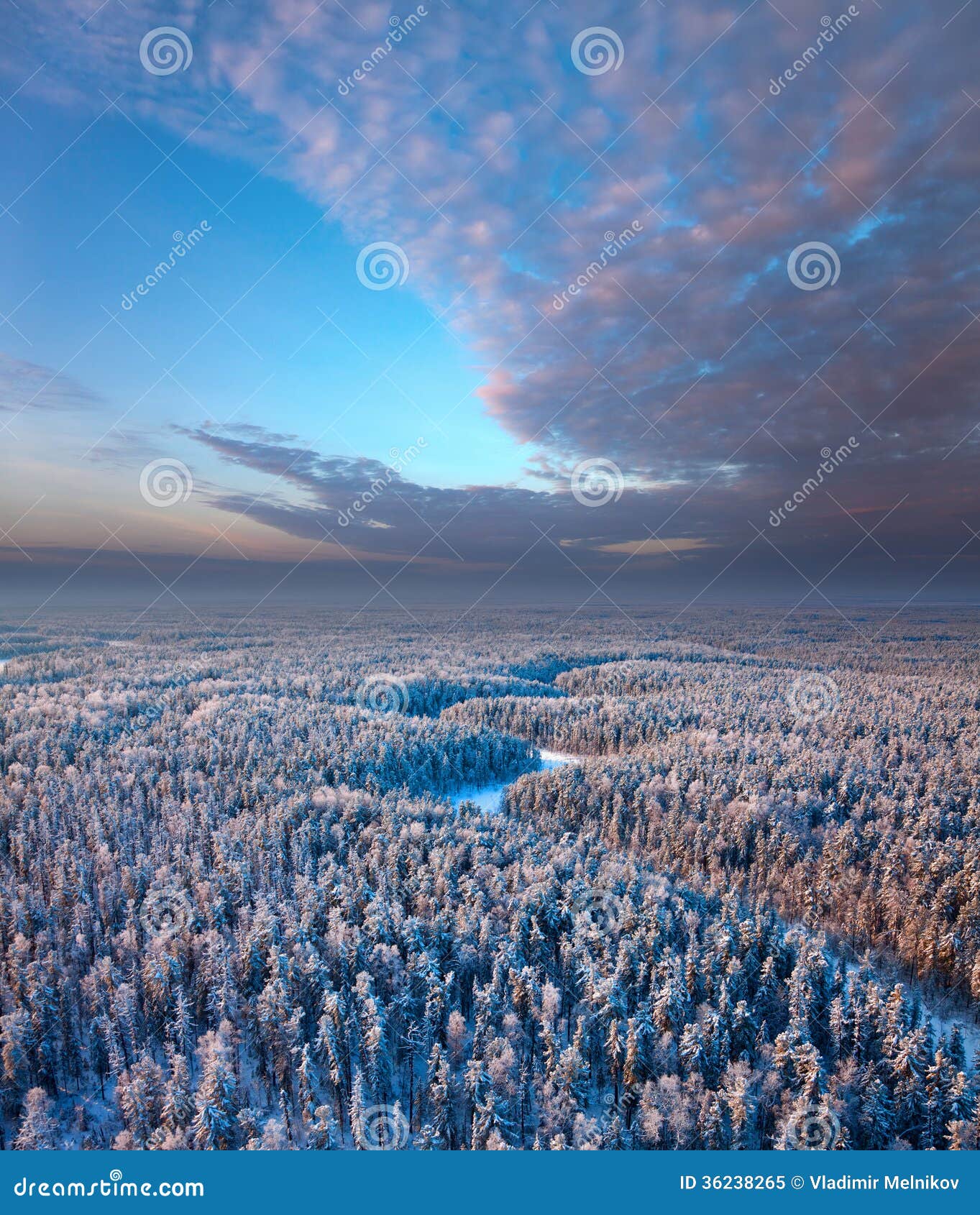 Top view of winter forest stock image. Image of nature - 36238265