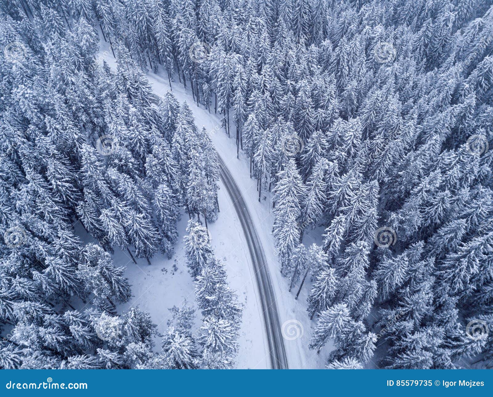 Top View of Winter Forest and Road Stock Image - Image of adventure ...