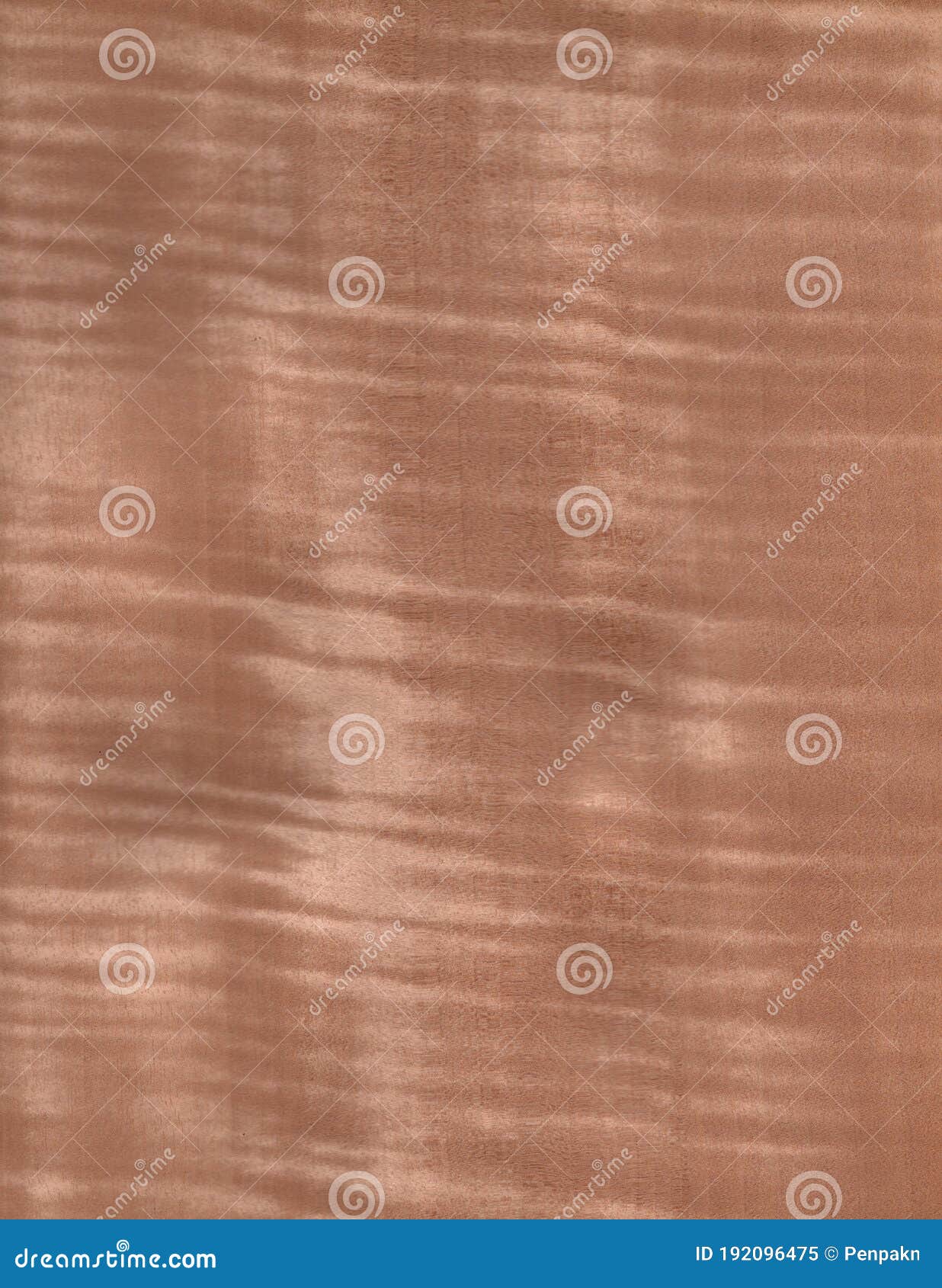 Top View Wooden Wall Material Burr Surface Texture Background Pattern ...
