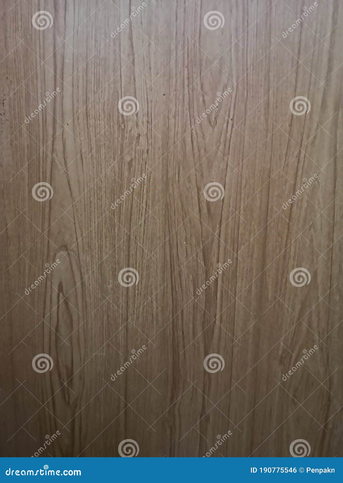 Top View Wooden Wall Material Burr Surface Texture Background Pattern ...