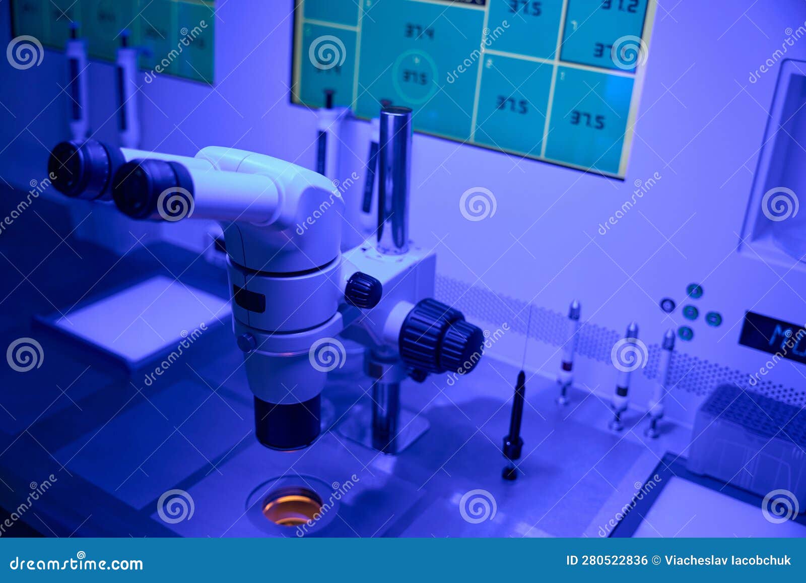 Top View Workplace of Professional Scientist Researcher Stock Photo ...