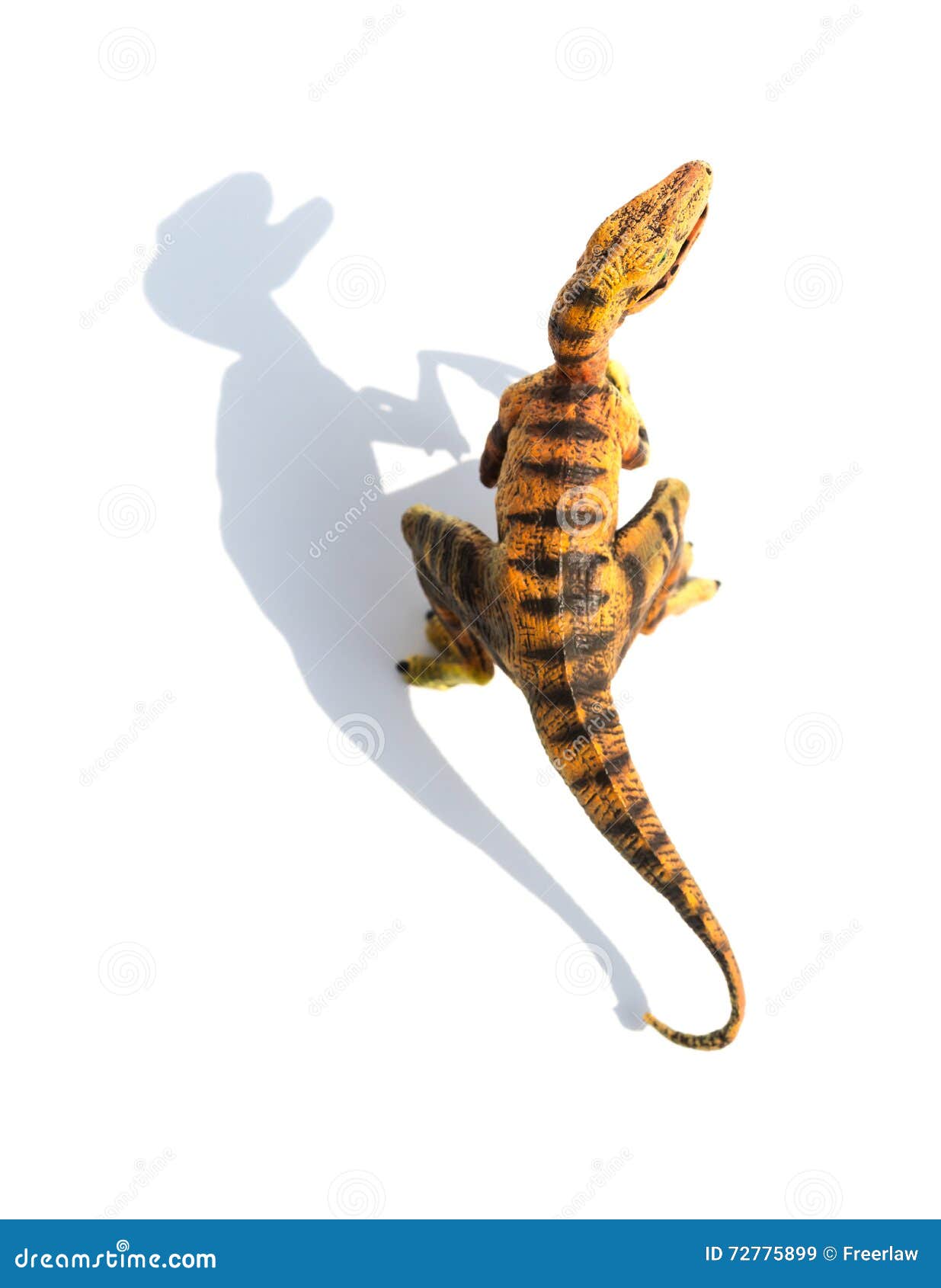 Top View Yellow Velociraptor Toy on White Background with Shadow Stock ...