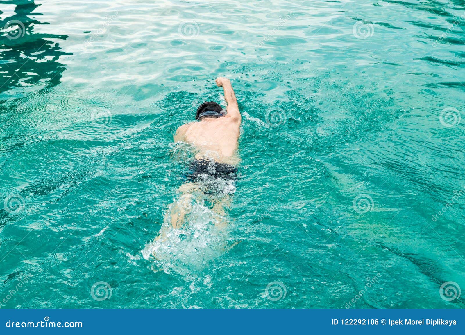 Top View of Young Caucasian Man Swimming Front Crawl in a Swimming Pool ...