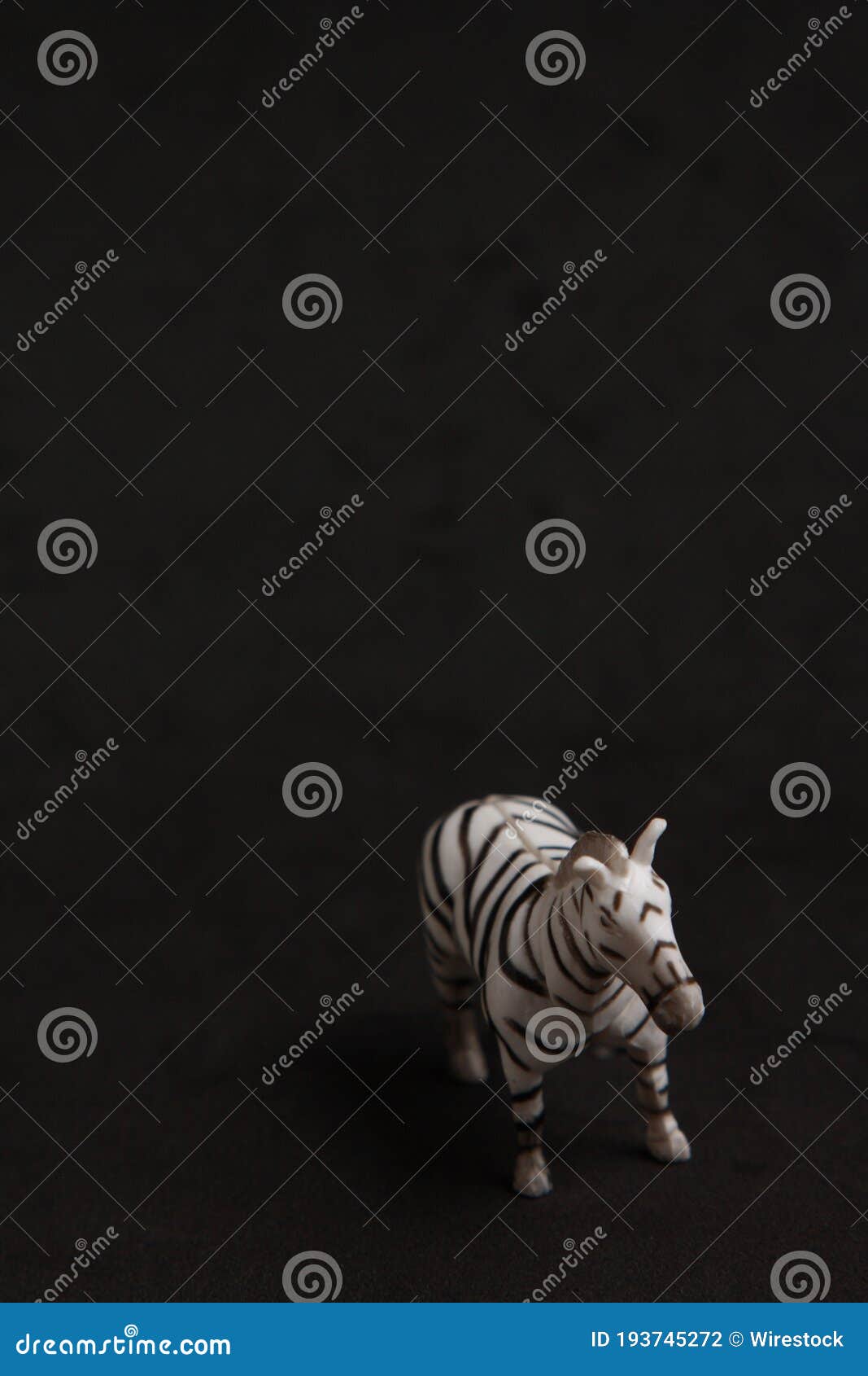 Top View of a Zebra Figurine Isolated on a Black Background Stock Photo ...