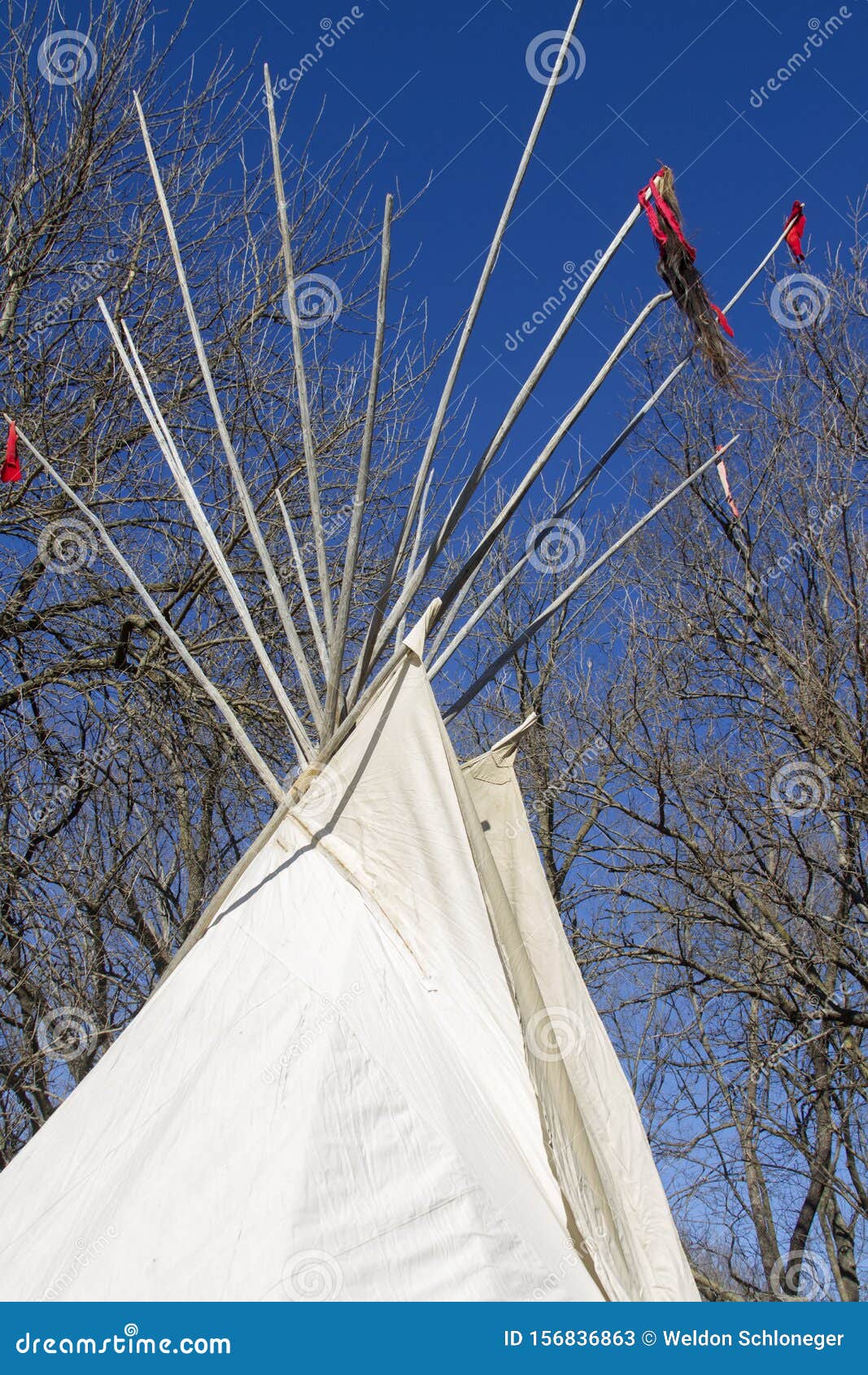 Top of White Tepee with Trees Stock Image - Image of house, native ...