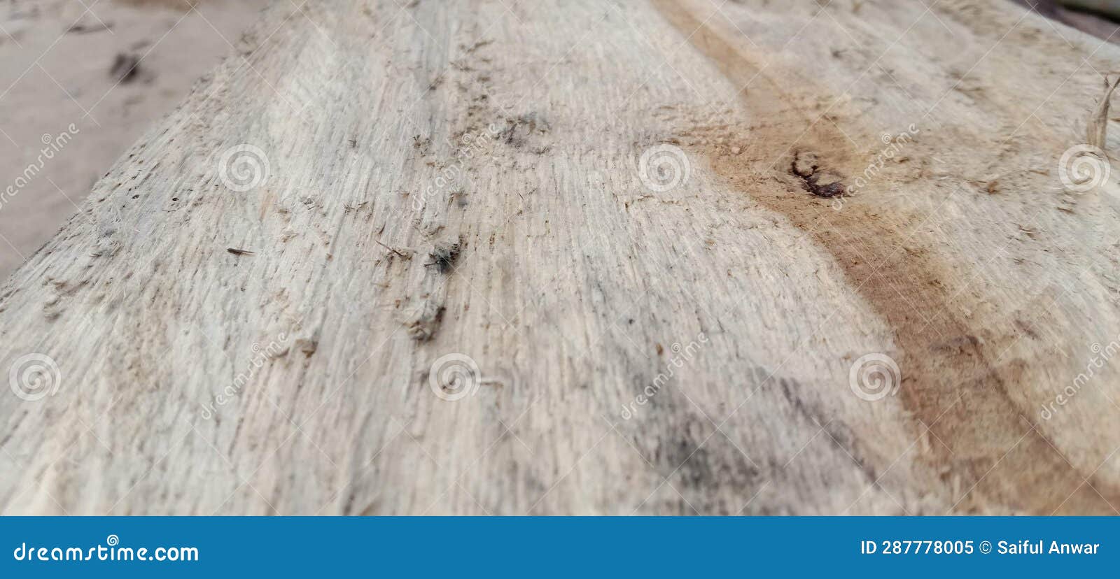 The Top of the Wood that Has Been Split Shows Its Grain and is White As ...