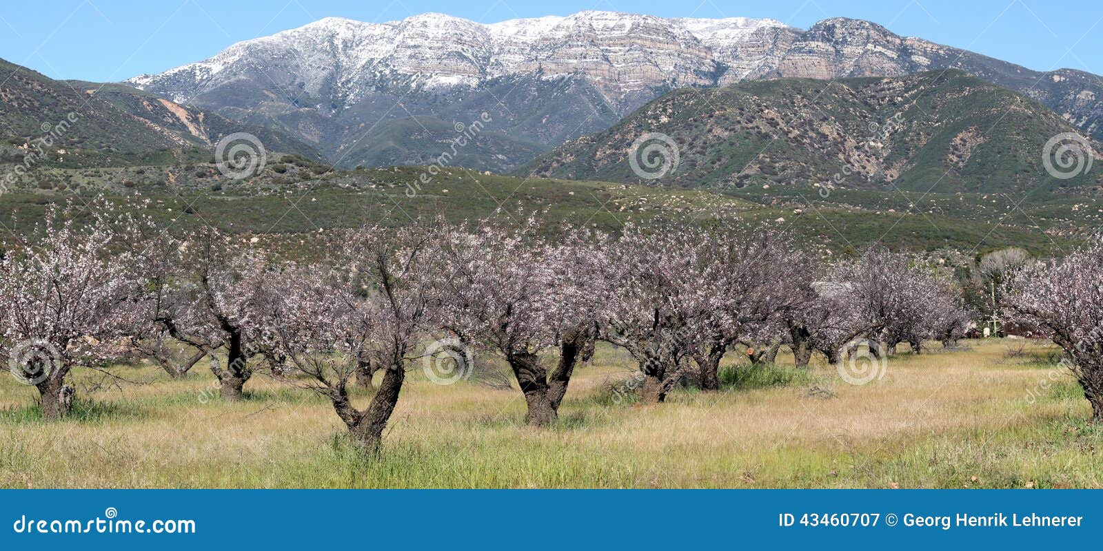 Topa Topa stock image. Image of green, nature, field - 43460707