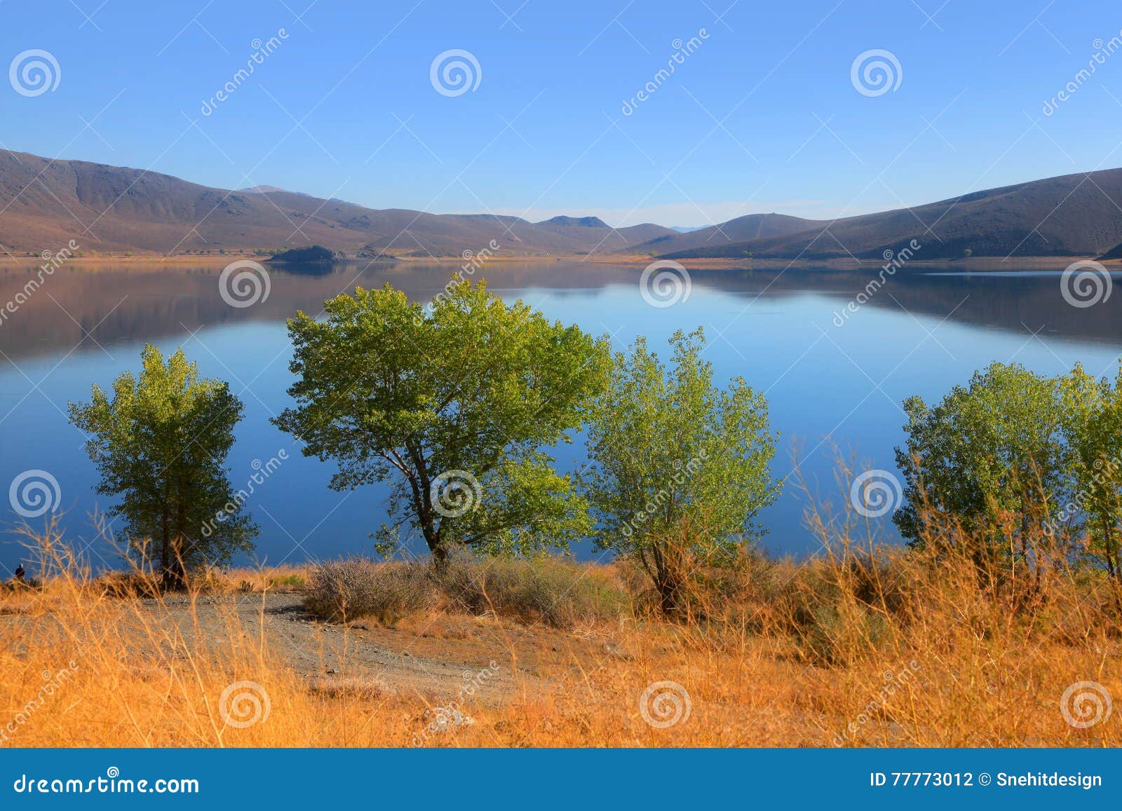 Topaz lake stock photo. Image of forest, reflection, nature - 77773012