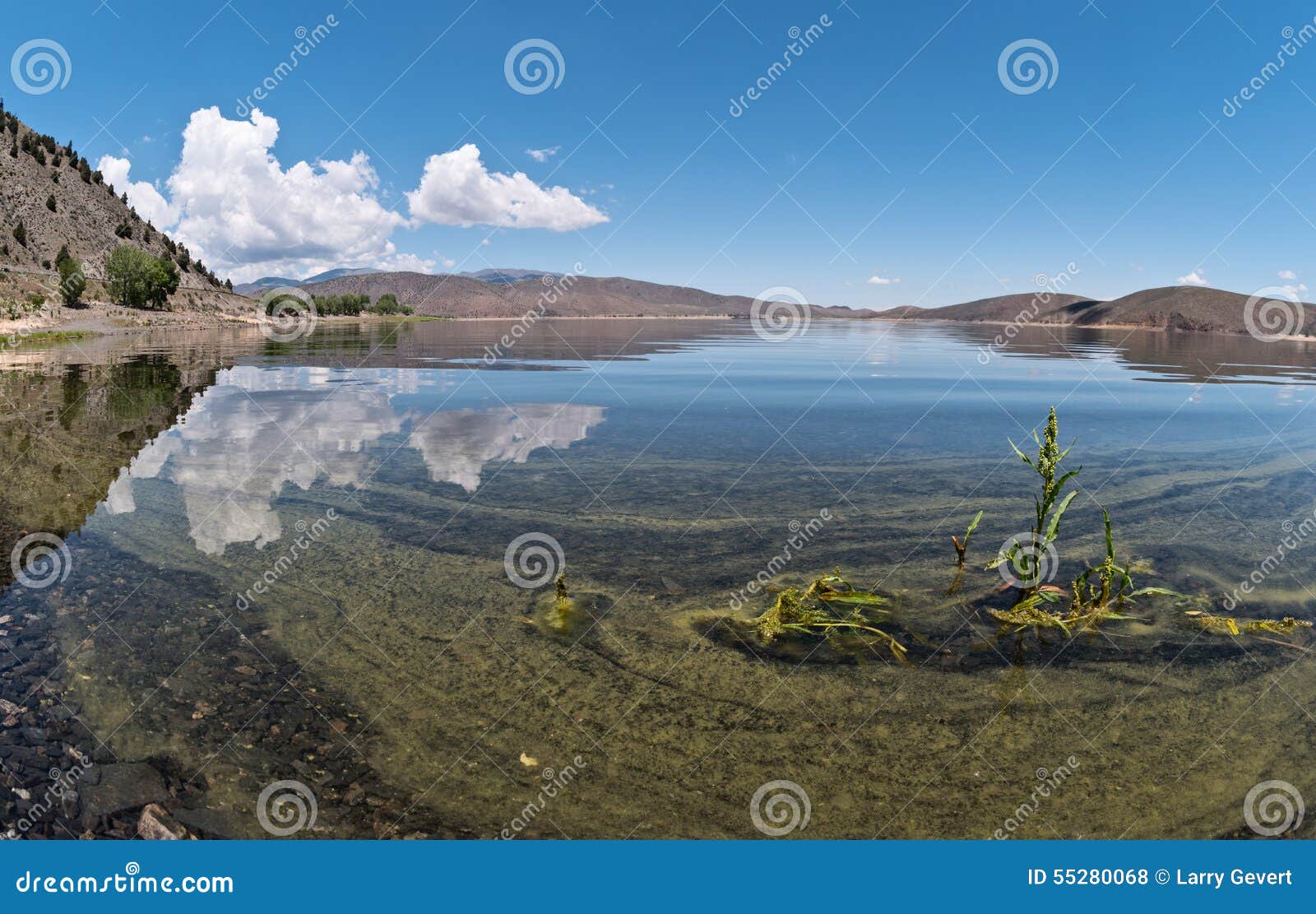 Topaz Lake stock photo. Image of nature, scenery, mono - 55280068