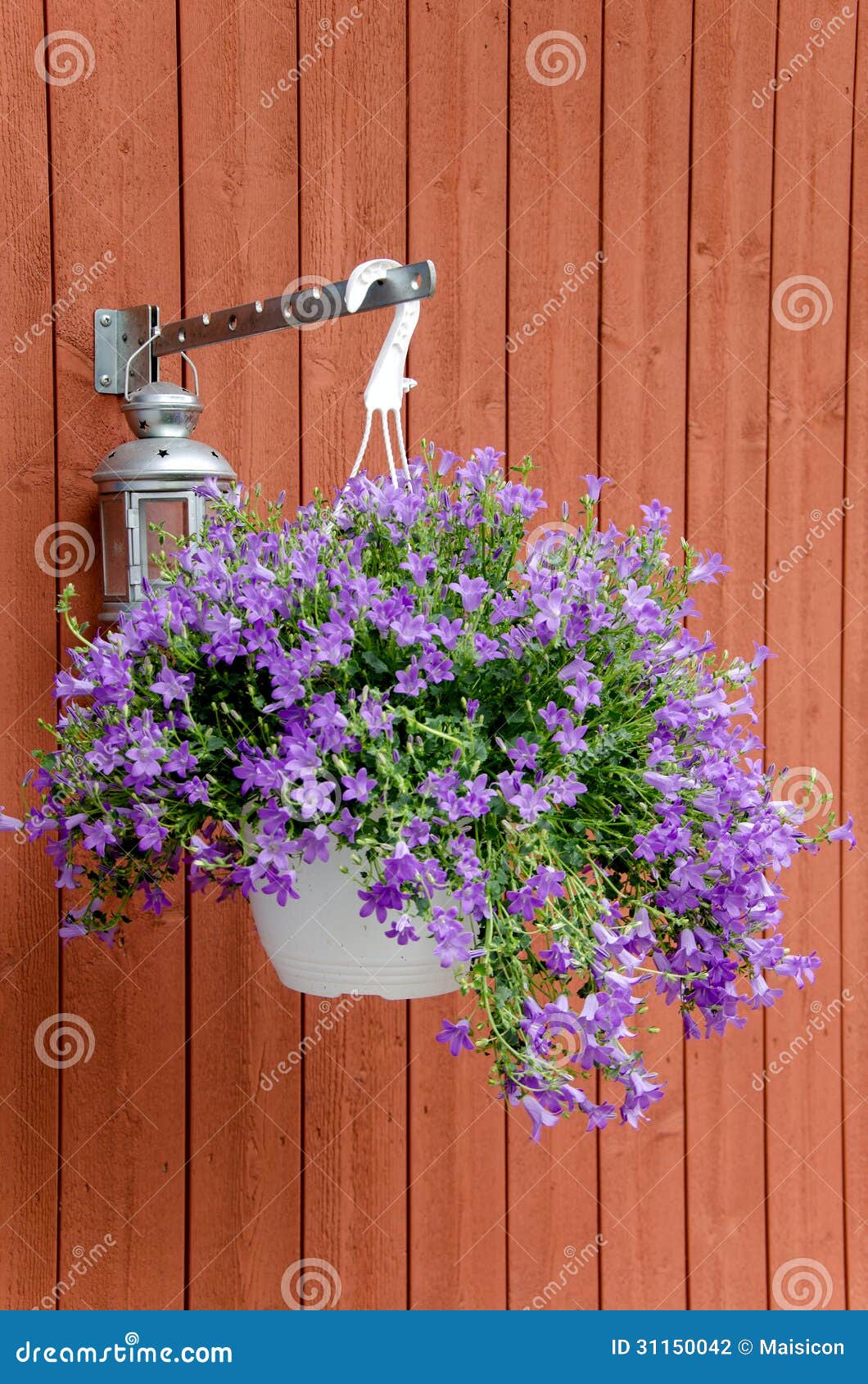 Topf Blumen stockfoto. Bild von betrieb, schmutz, dekor - 31150042