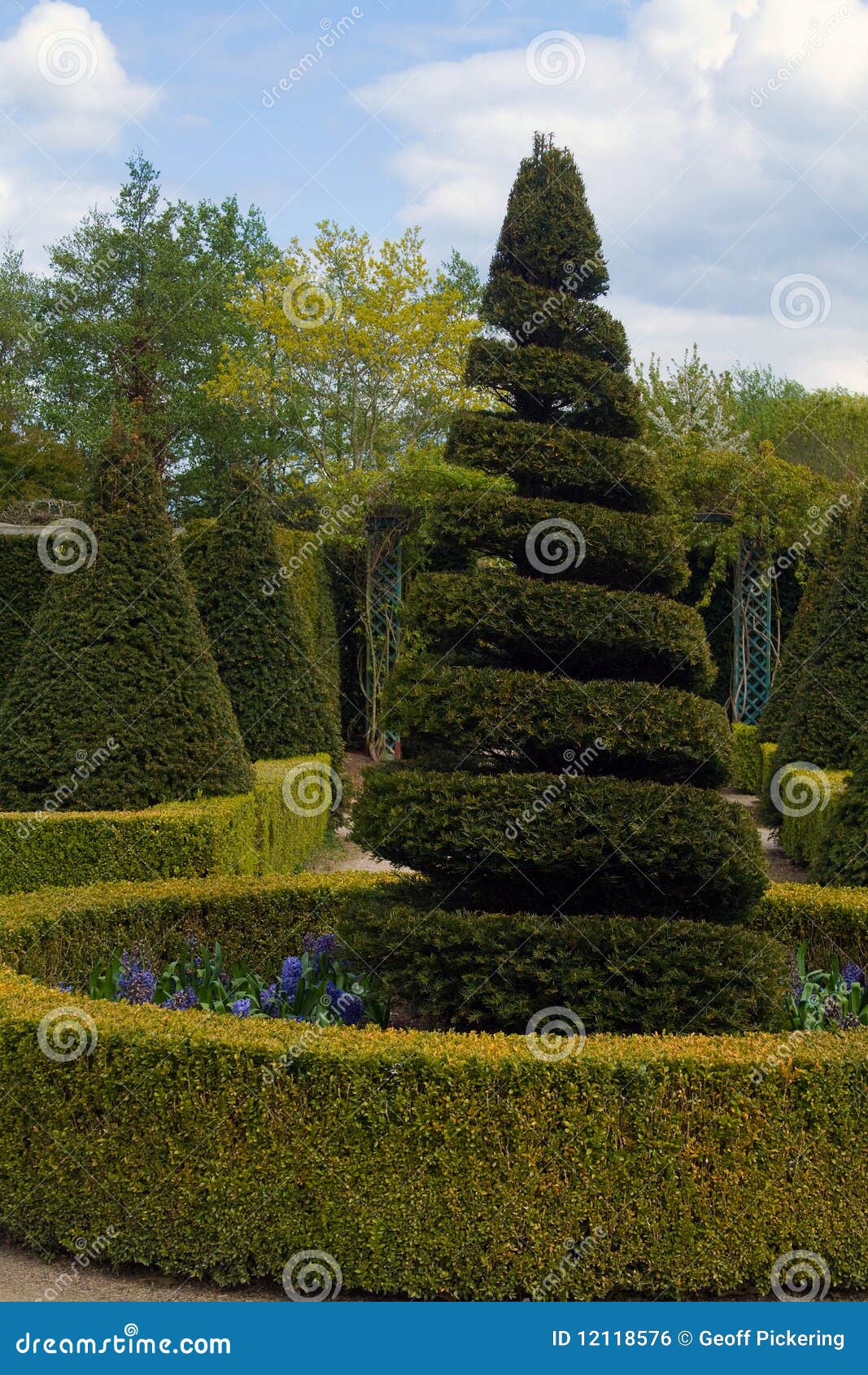 Topiary stock photo. Image of decorative, outdoor, topiary - 12118576