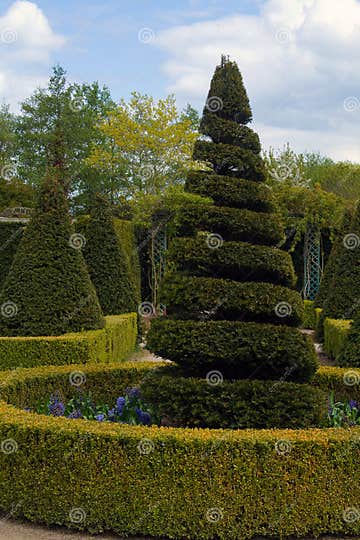Topiary stock photo. Image of decorative, outdoor, topiary - 12118576
