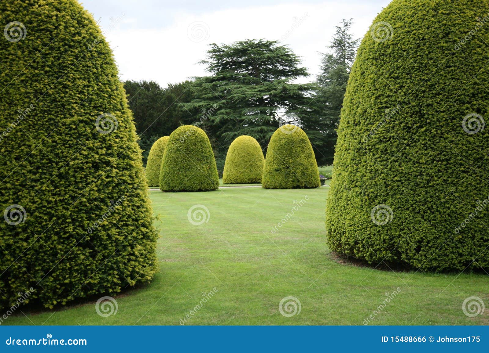 Topiary stock photo. Image of outdoors, formal, garden - 15488666