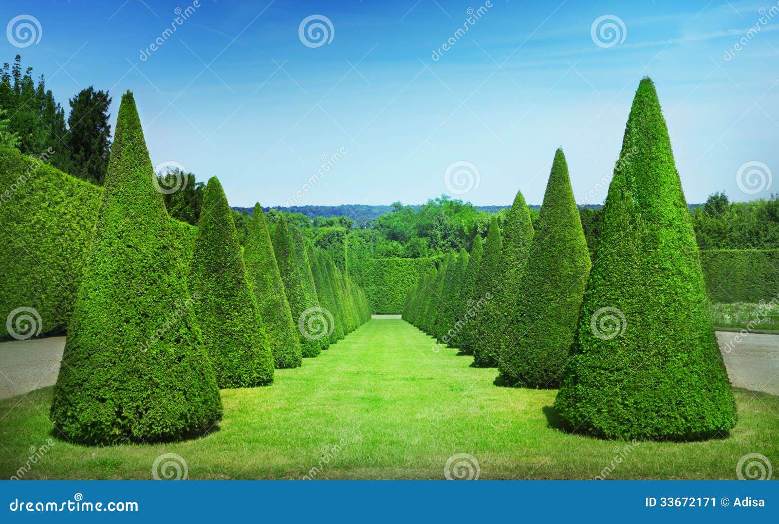 Topiary trees stock image. Image of french, geometrical - 33672171