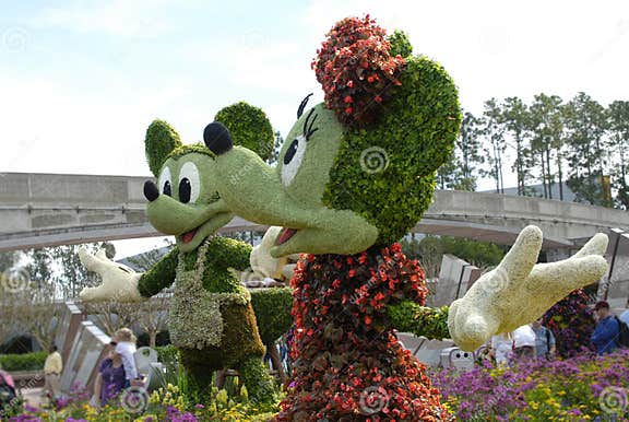 Topiary De Mickey Y De Minnie Foto de archivo editorial - Imagen de ...