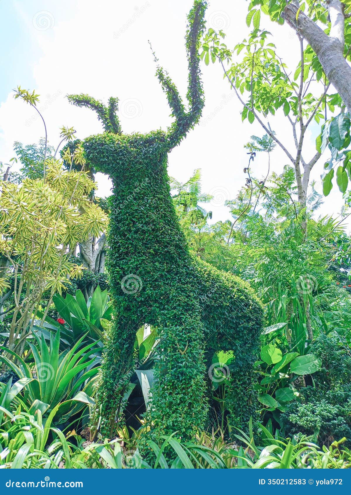 Topiary Deer with Antlers in the Garden. Stock Image - Image of ...