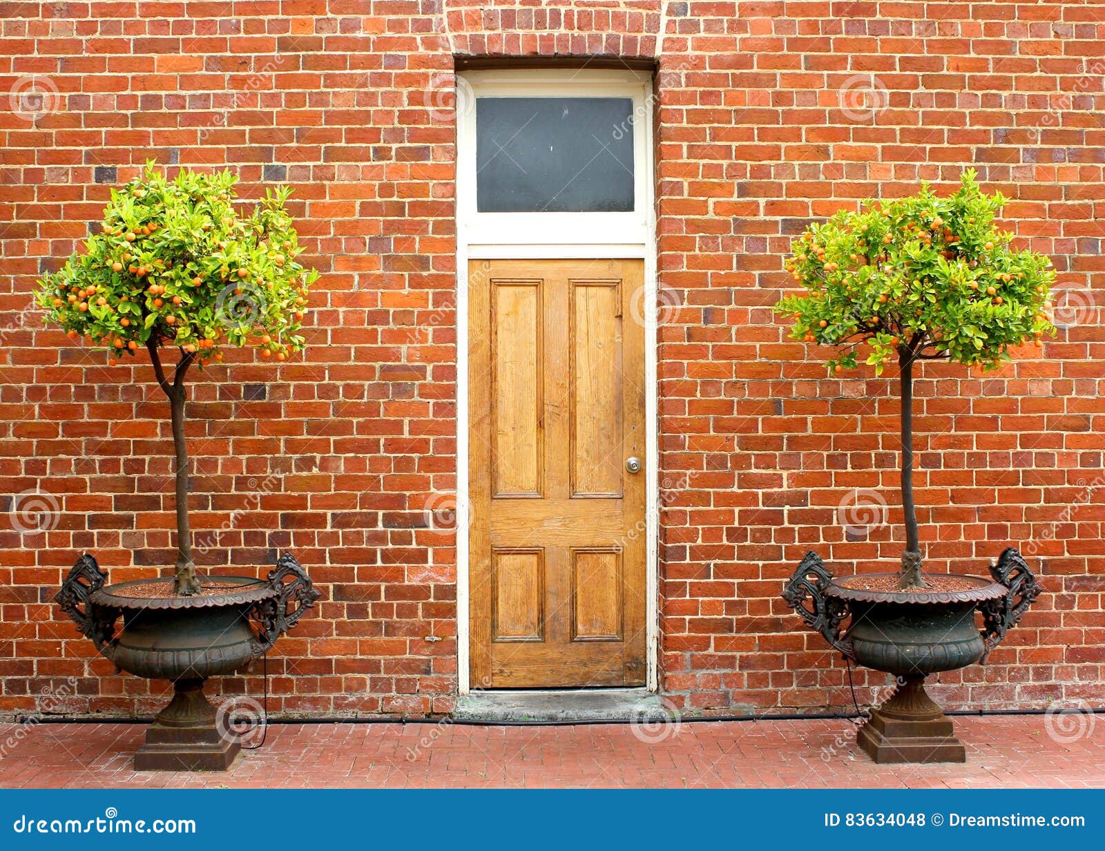Topiary fruit trees. stock photo. Image of trees, garden - 83634048