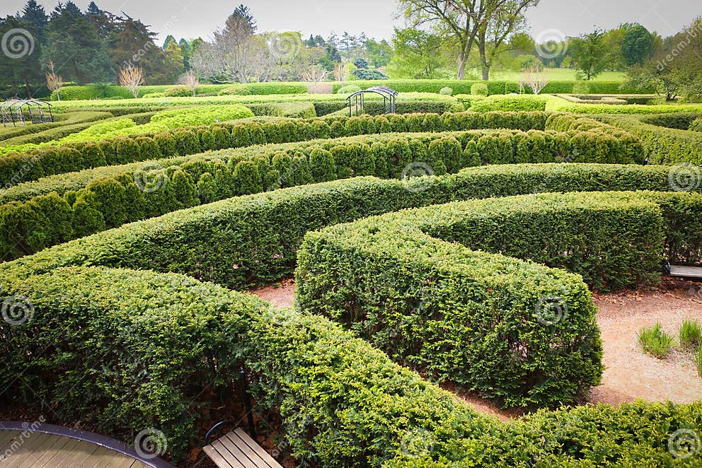 Topiary Maze stock photo. Image of lost, landscaping - 24672800