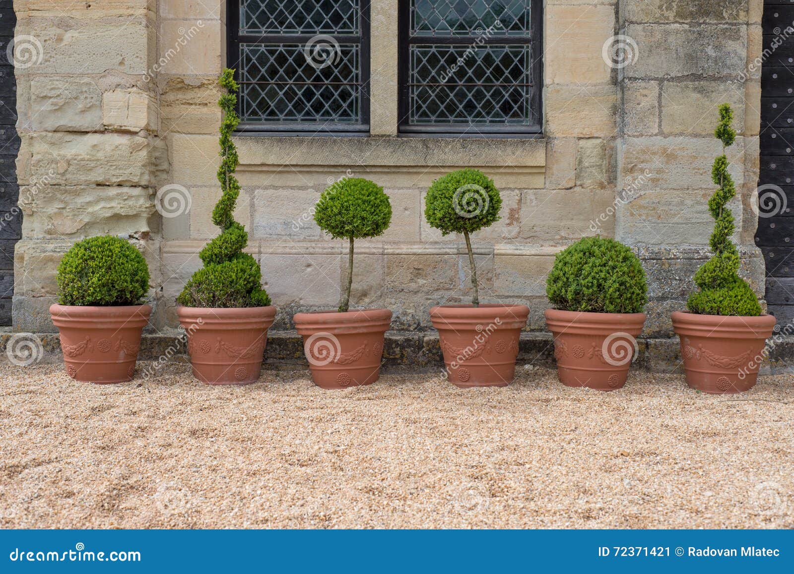 Topiary shapes stock image. Image of grown, formal, clipping - 72371421