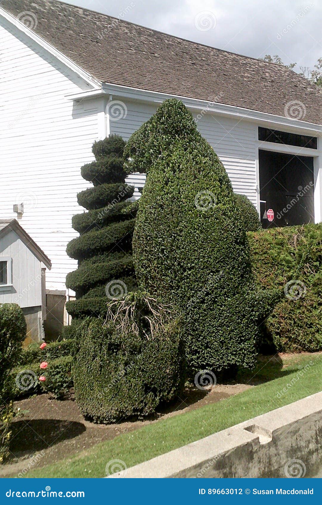 Topiary T-Rex foto de archivo. Imagen de pino, arbustos - 89663012