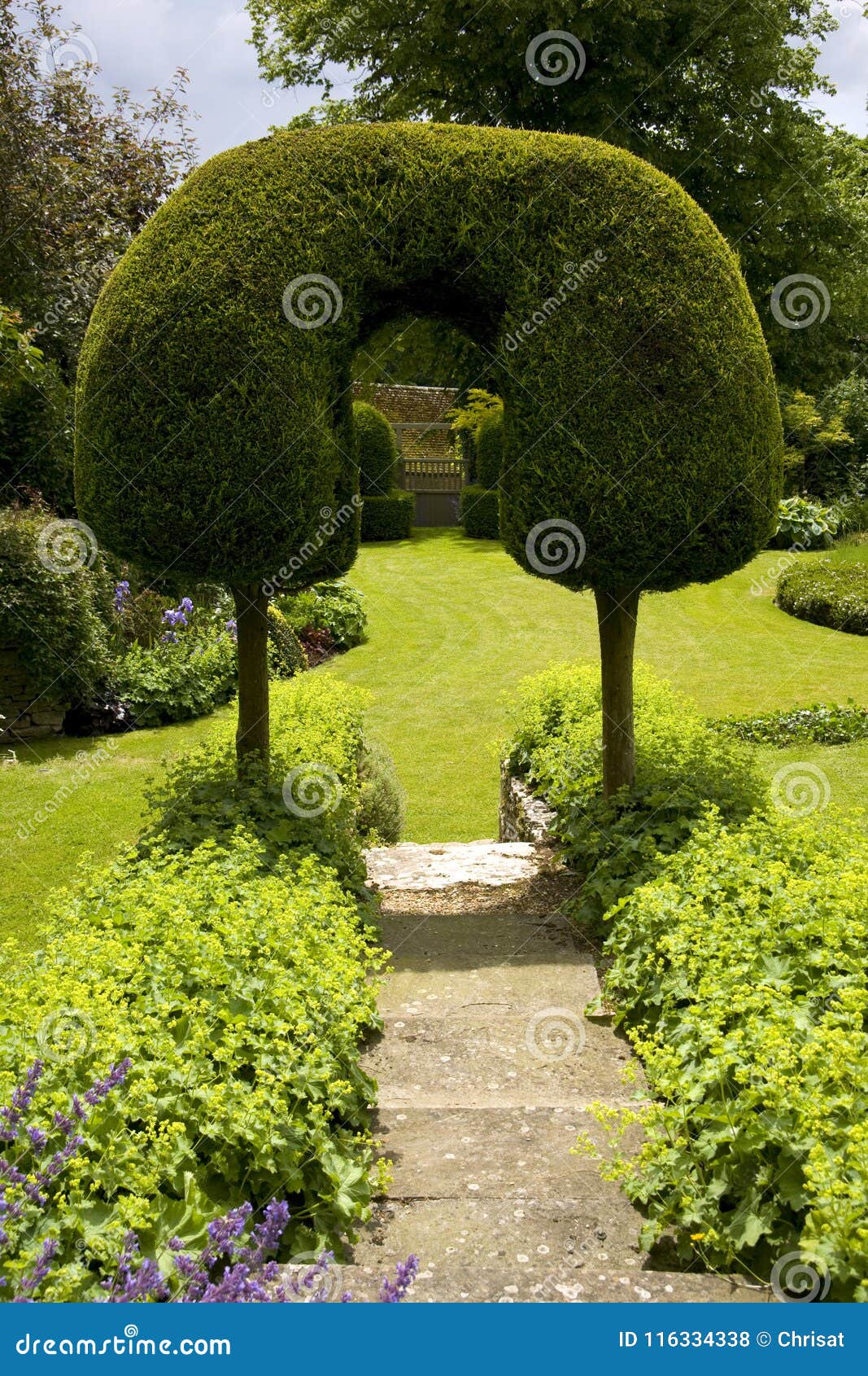 Arch Of Topiary Royalty-Free Stock Photography | CartoonDealer.com ...