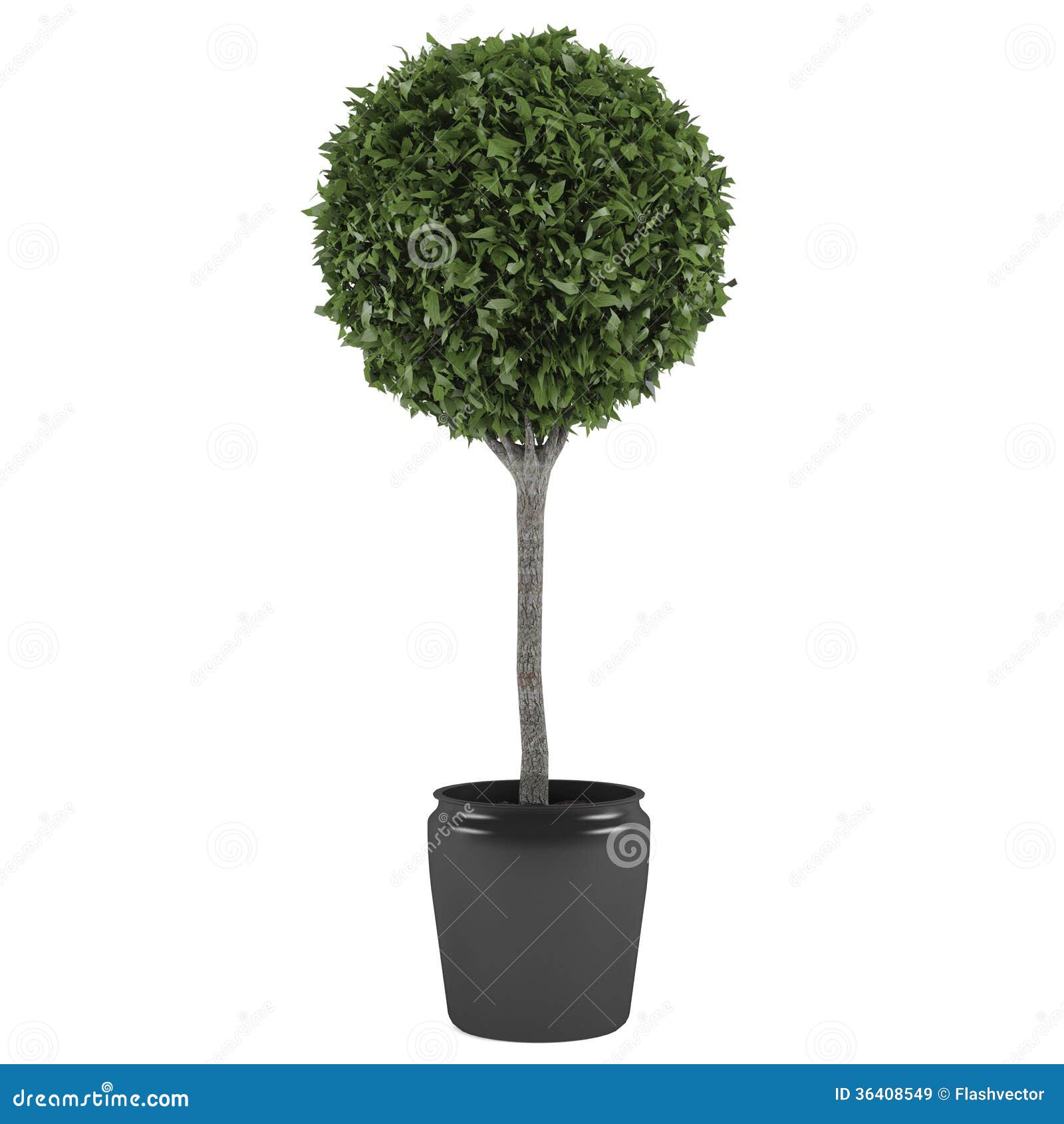 Topiary Tree. Vector | CartoonDealer.com #11139079