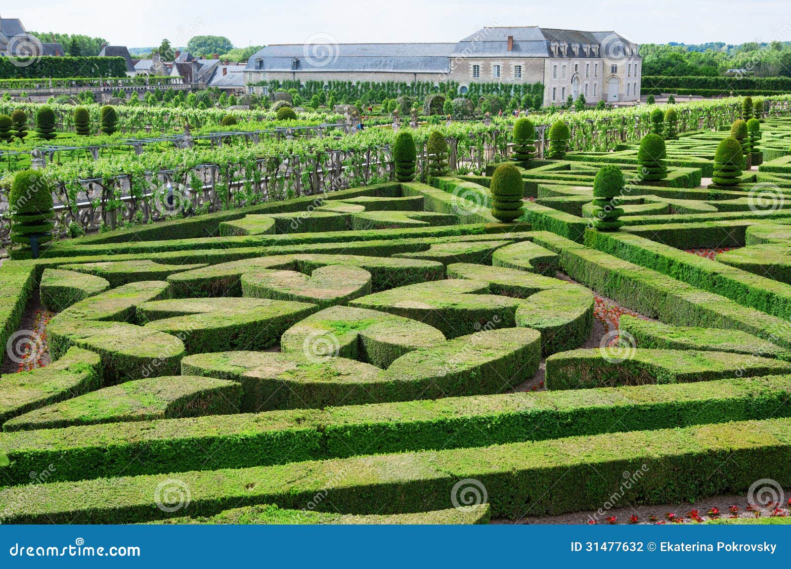 Topiary in Villandry Castle Stock Photo - Image of grass, ornamental ...