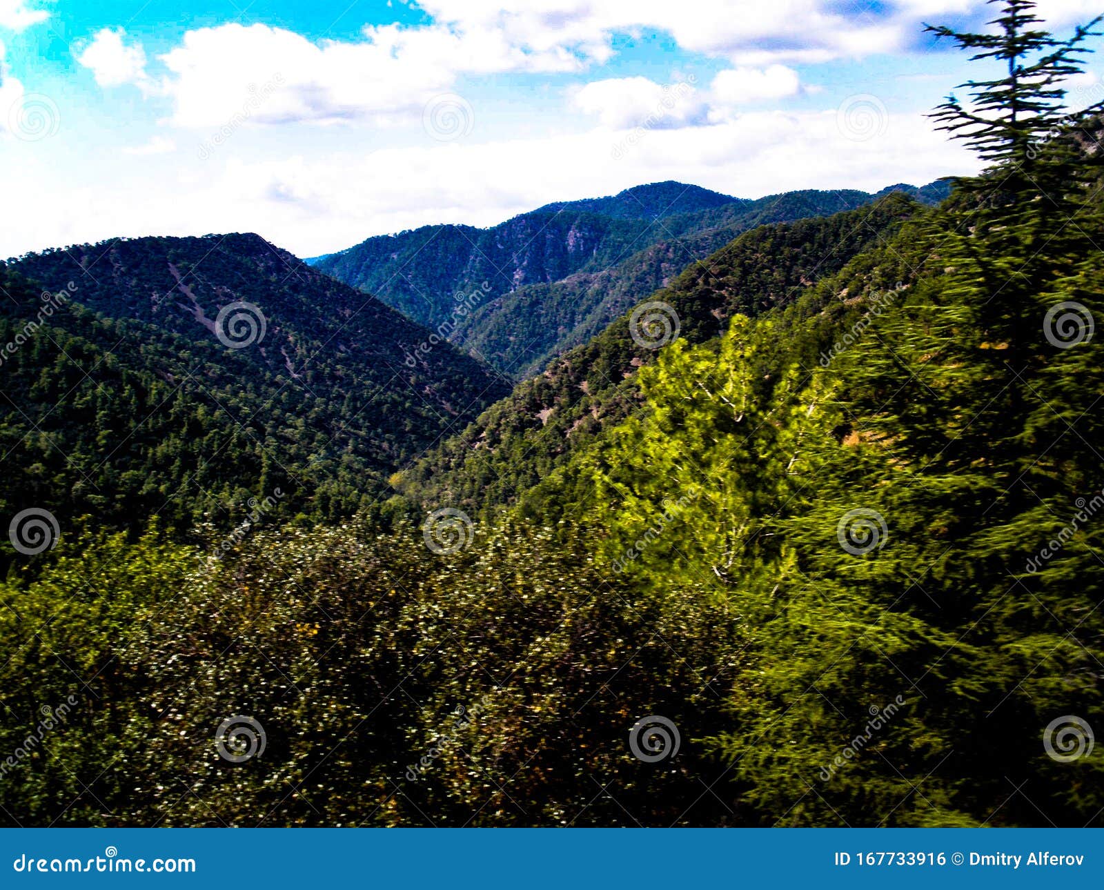 Cyprus Country and Topic View of Mountains with Forest Stock Photo ...