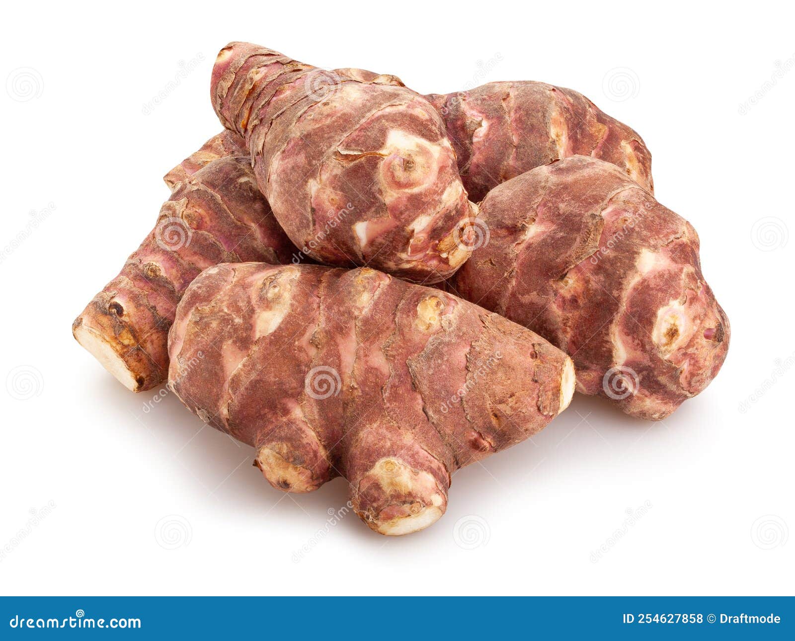 Topinambur path isolated stock photo. Image of nutrient - 254627858