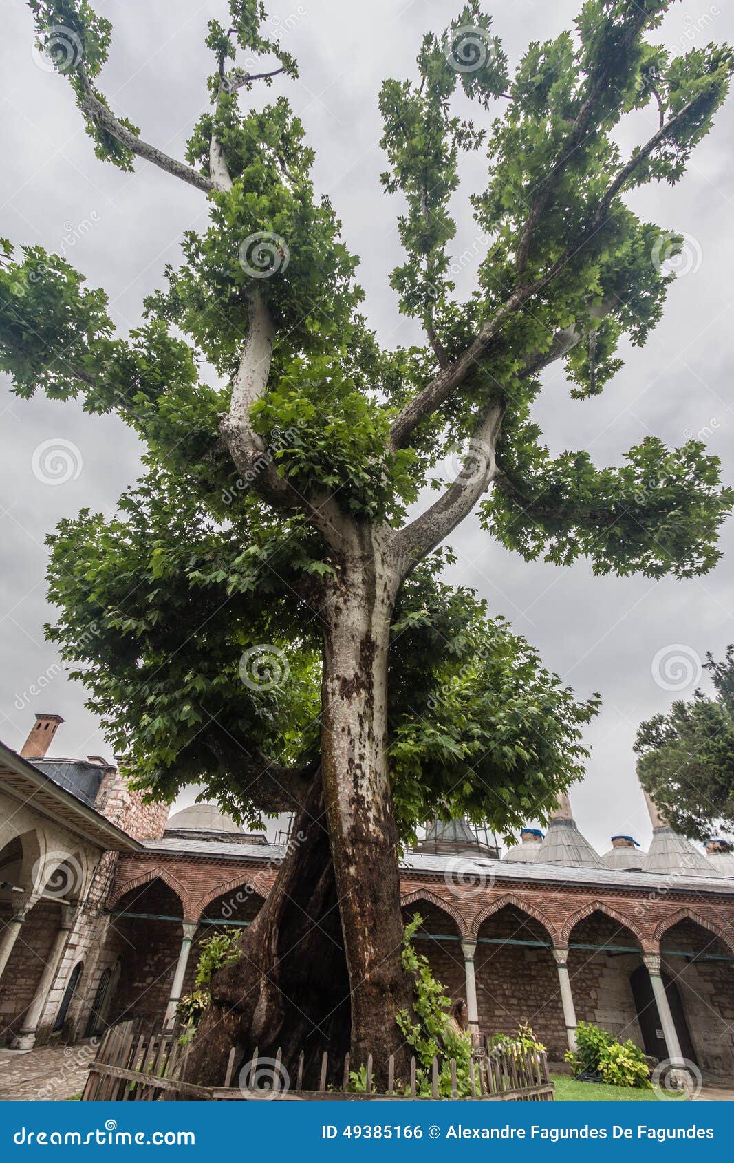 Topkapi Palace Istanbul stock photo. Image of istanbul - 49385166