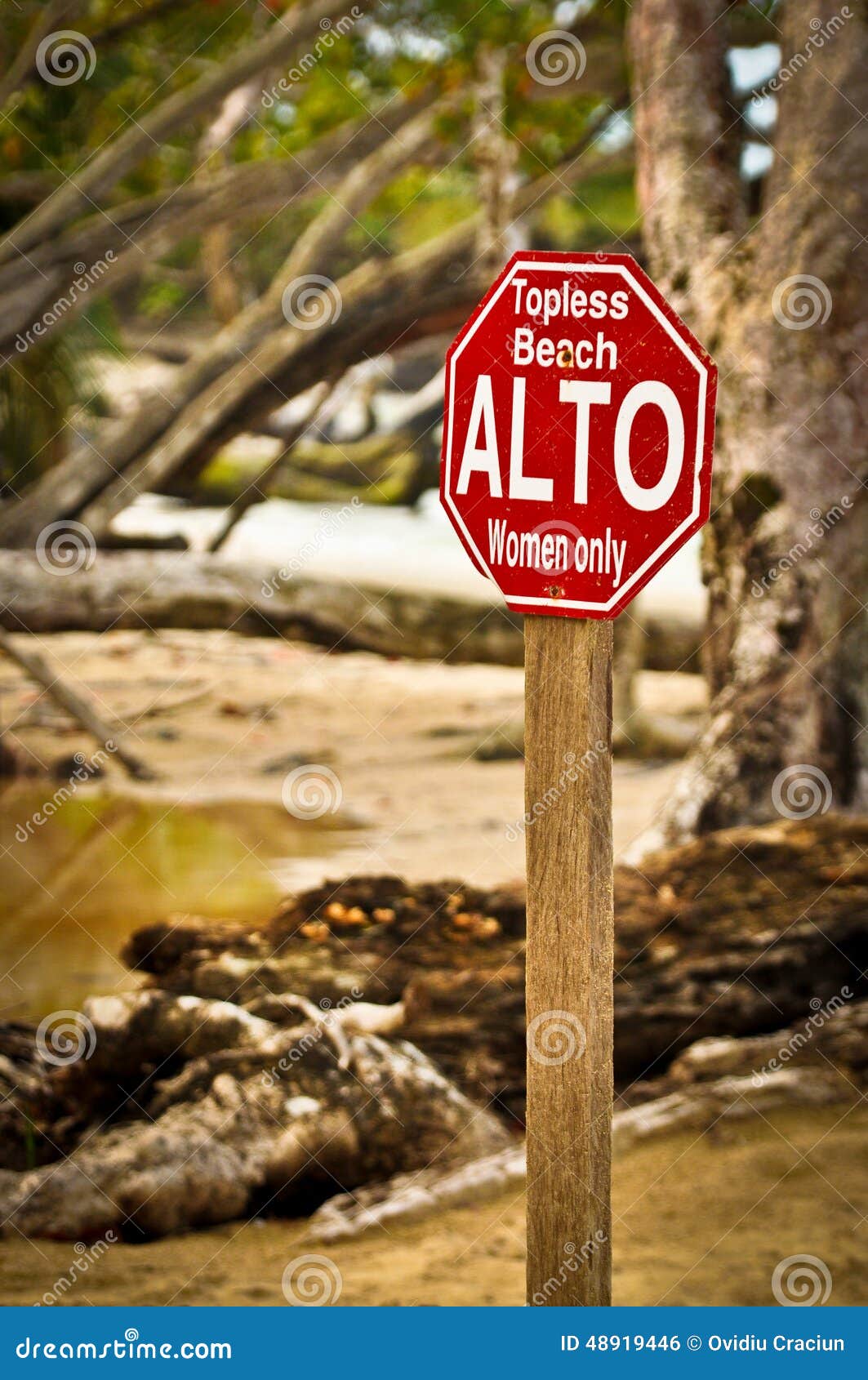 Toples beach sign stock photo. Image of rocks, wood, beach - 48919446