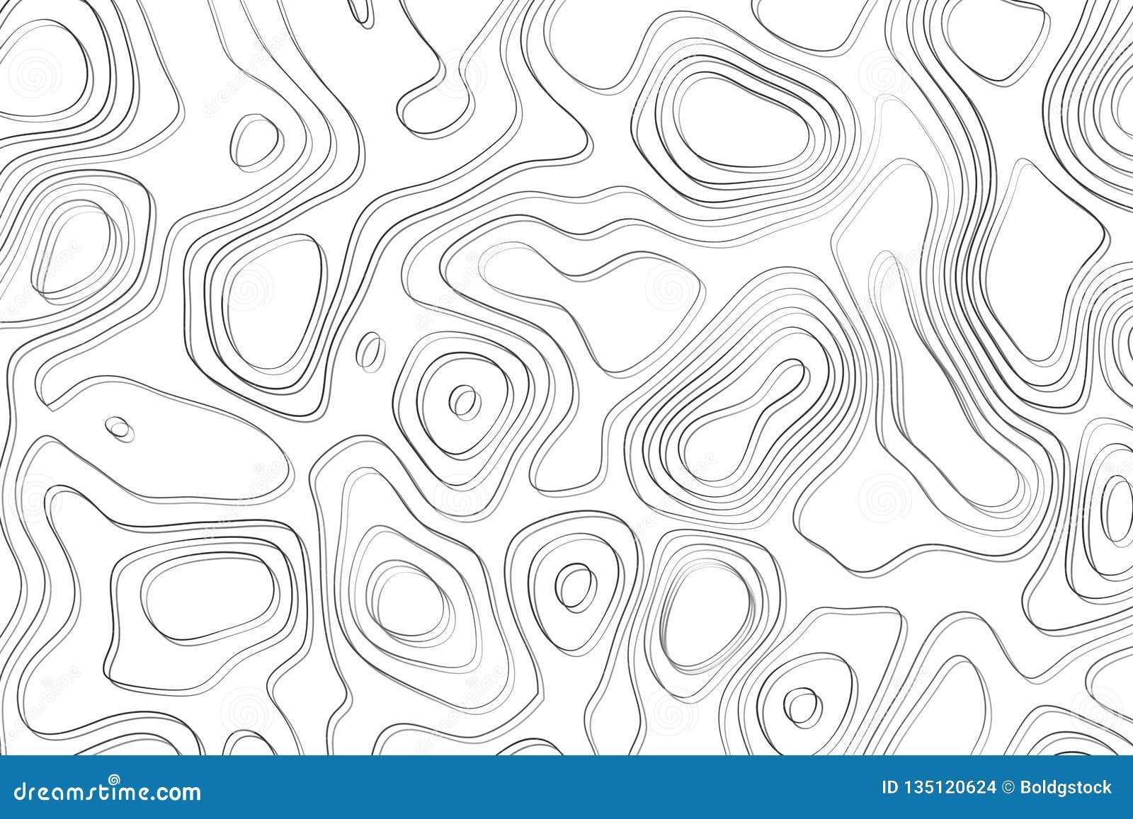 Topographic Abstract Vector Background in Black and White Design Stock ...