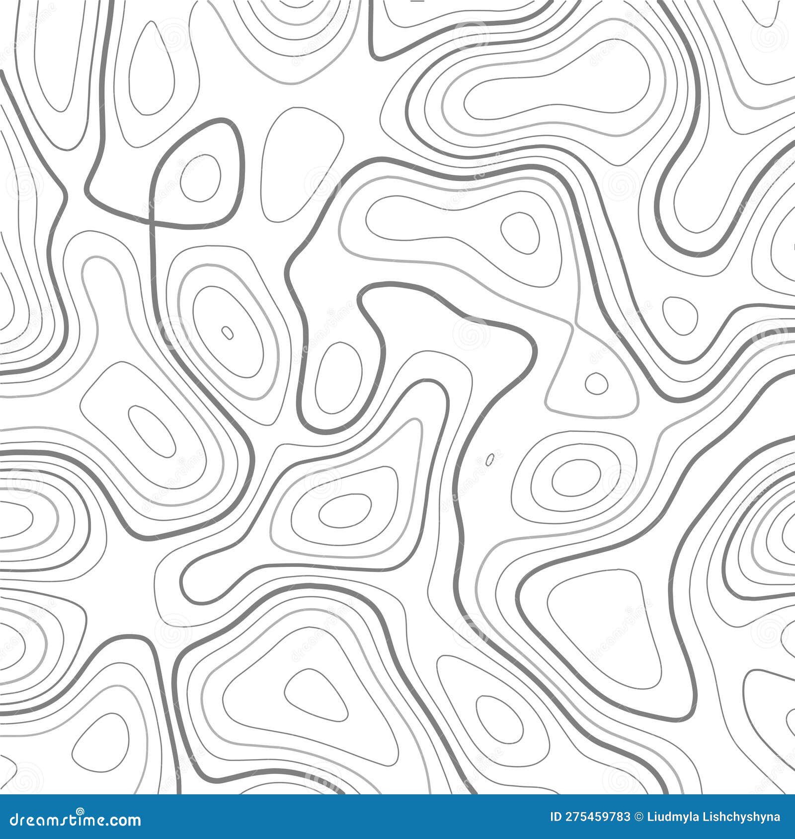 Topographic Map for Abstract Background or Wallpaper and Design. Gray ...