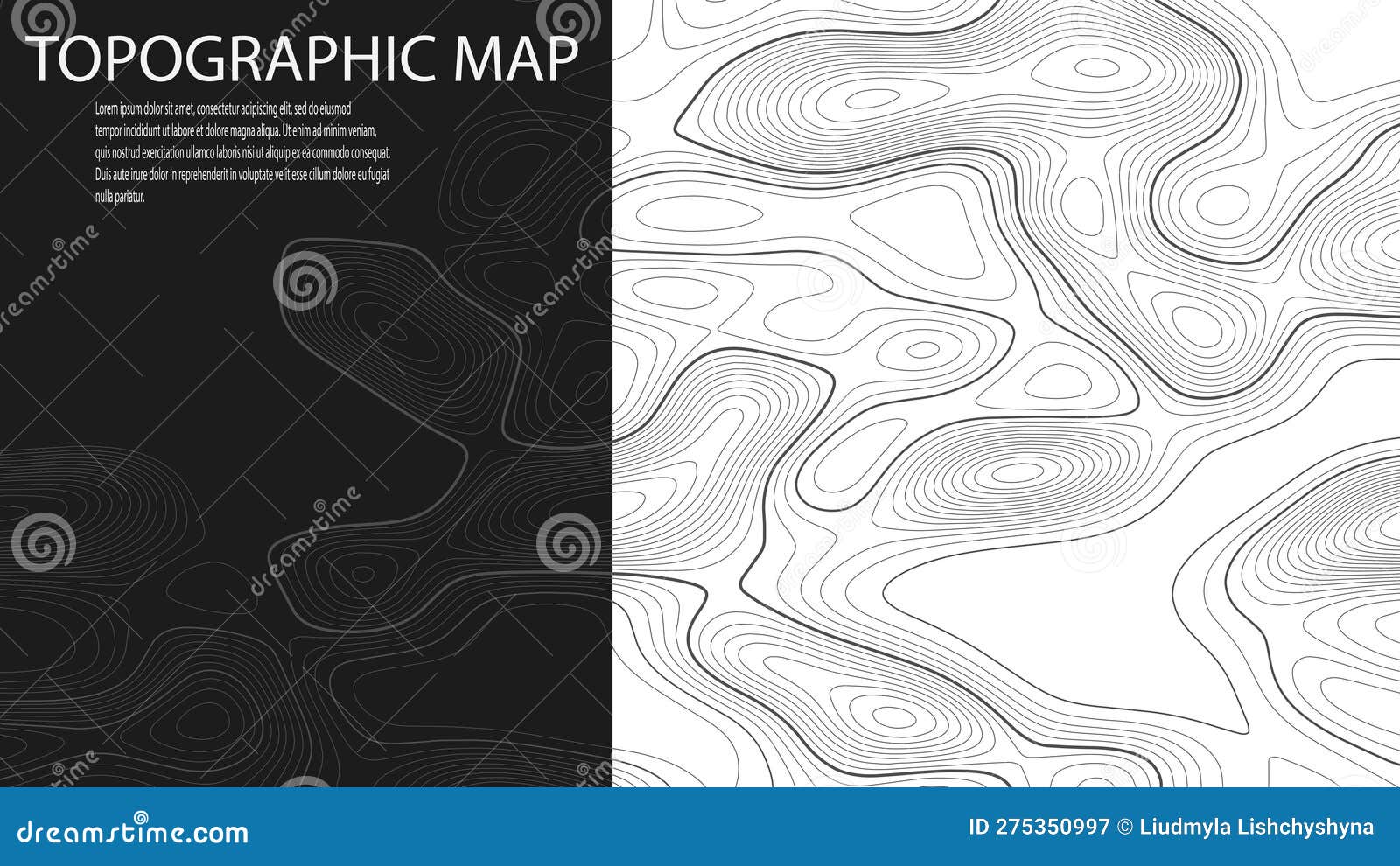 Topographic Map for Abstract Background or Wallpaper and Design. Gray ...