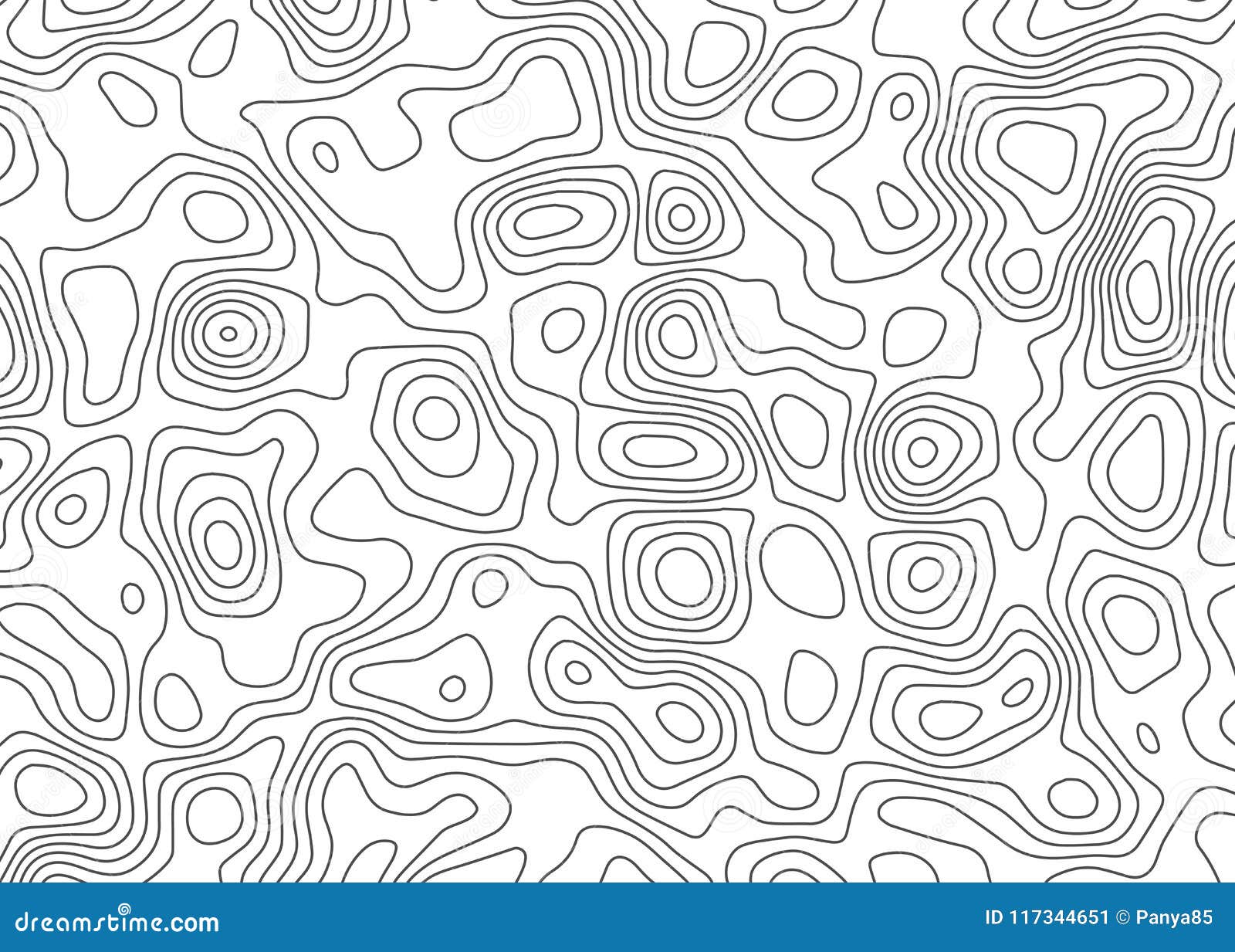 Topographic Map Backdrop. Conditional Geography Scheme And The Terrain ...