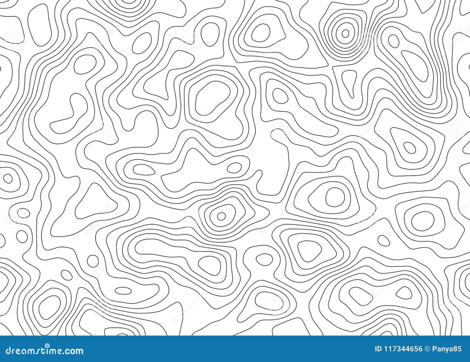 Topographic Map Backdrop. Conditional Geography Scheme And The Terrain ...