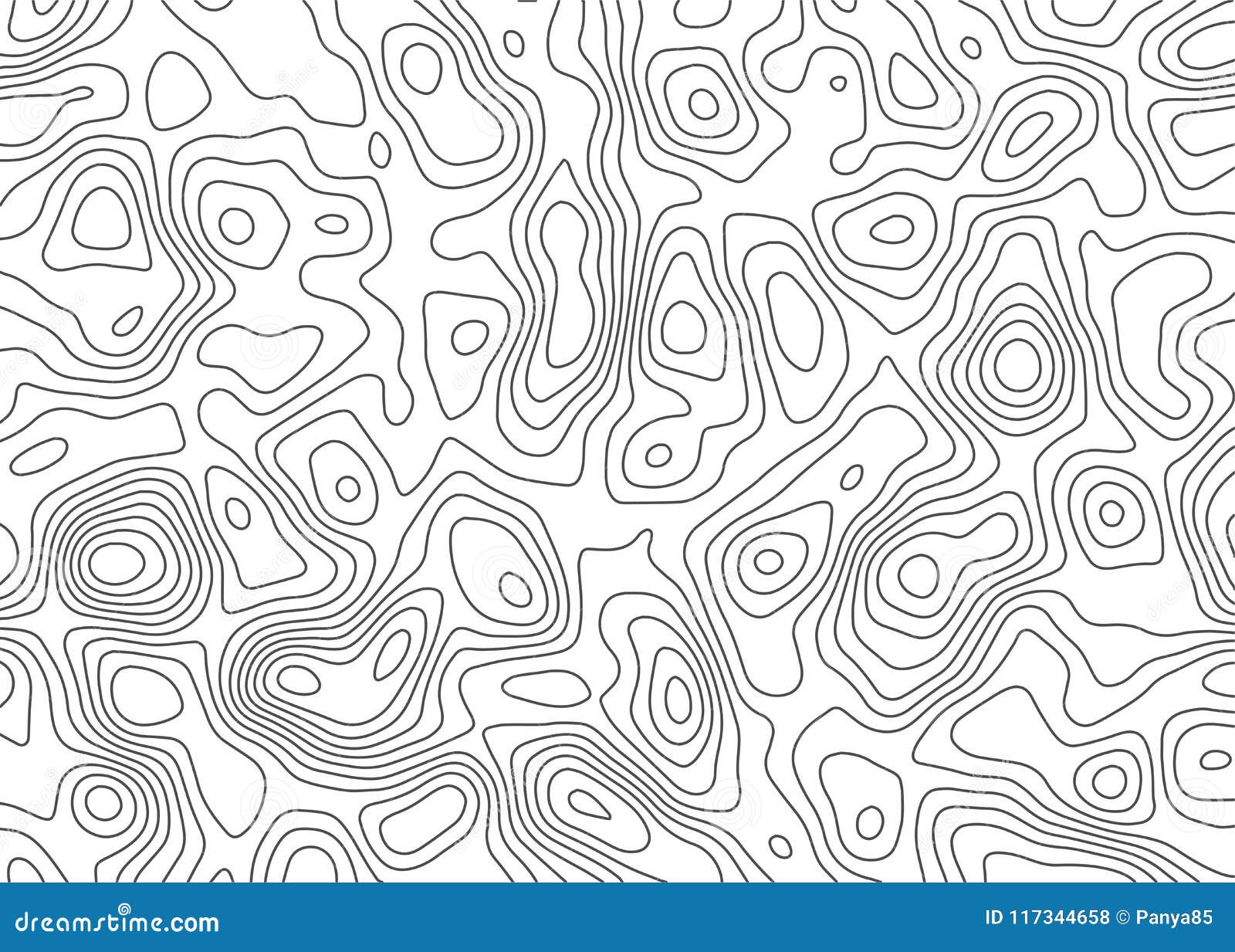 Terrain Line. Topographic Map On White Background. Topo Map Elevation ...