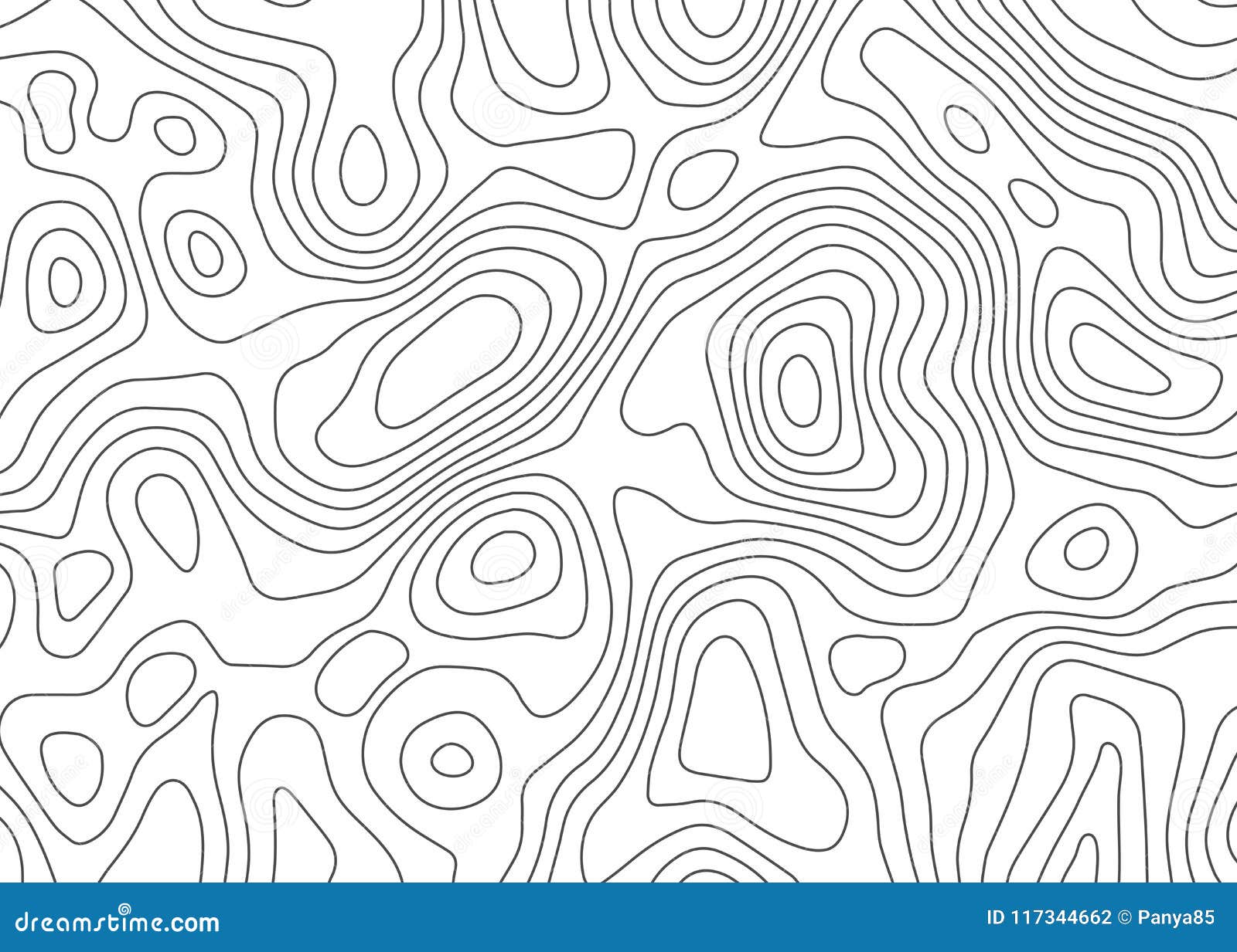 Topographic Map Backdrop. Conditional Geography Scheme and the Terrain ...