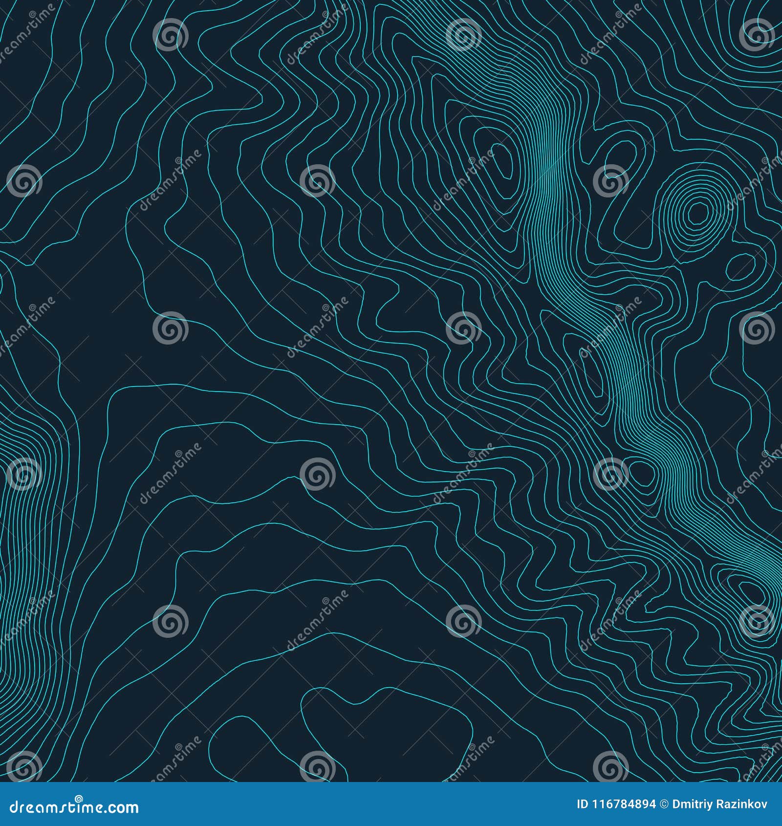 Topographic Map Background Concept with Space for Your Copy. Topography ...