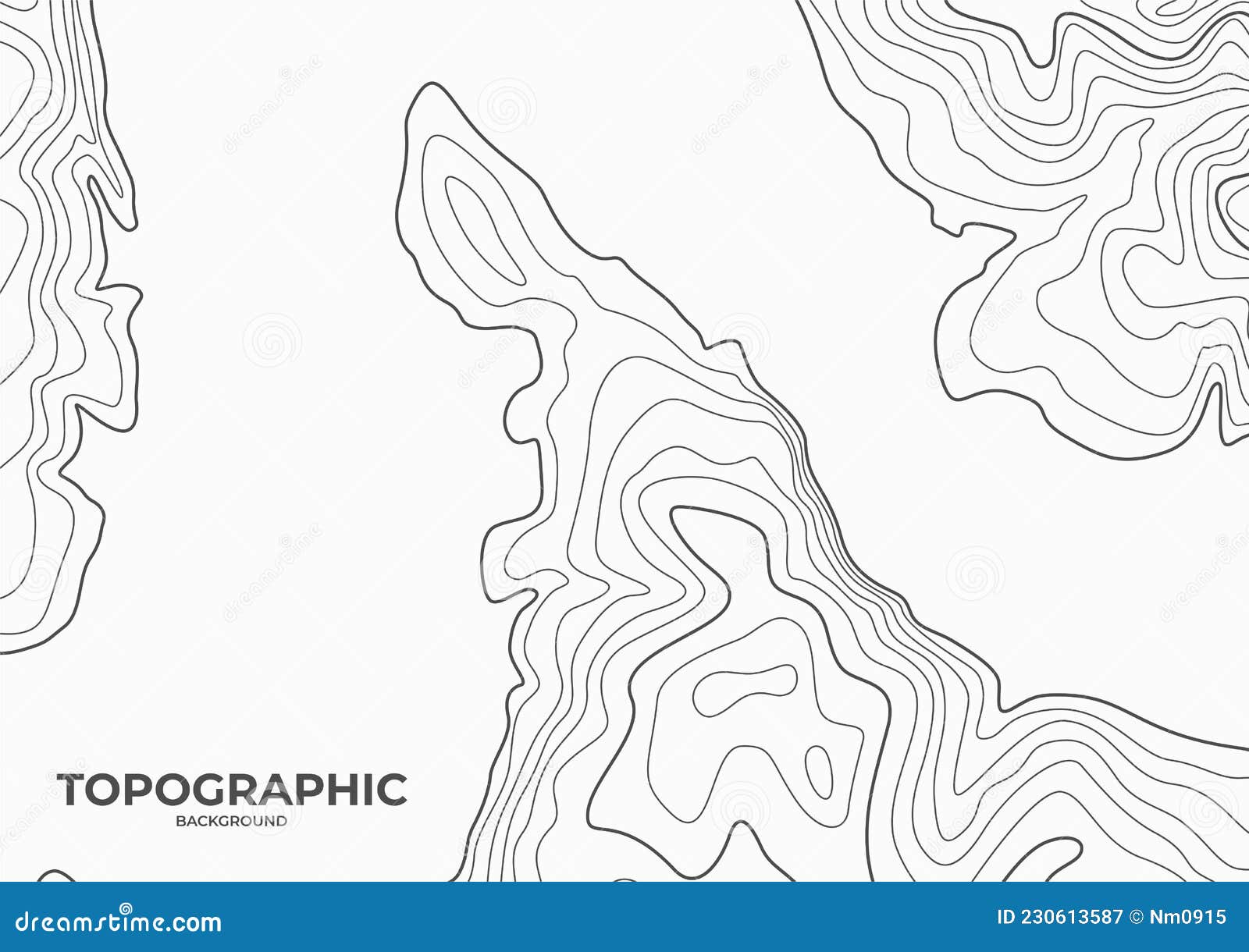 Topographic Map Background. Peninsula Contour Map. Cartography Vector ...