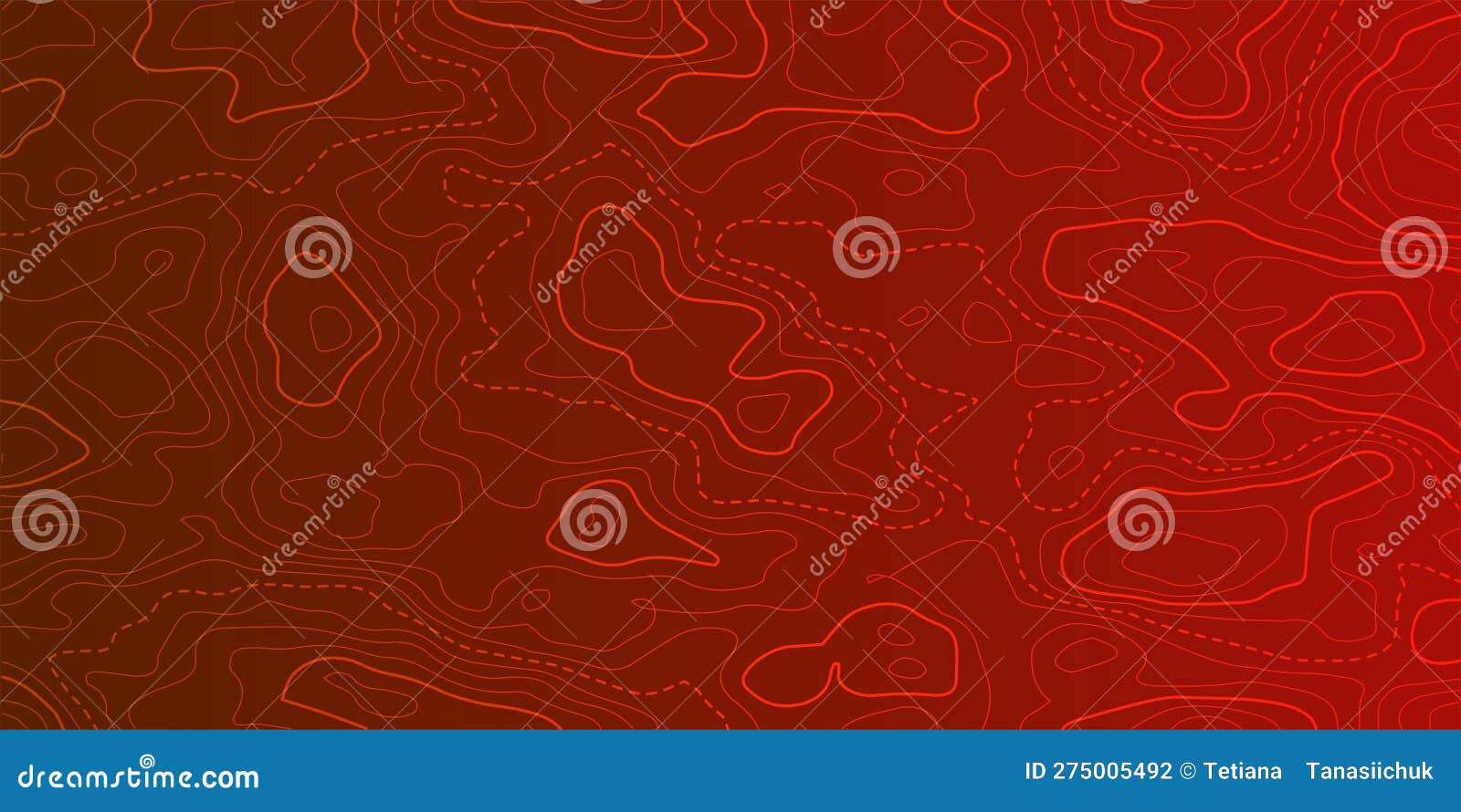 Topographic Map Background Terrain Height Map Generation Grid Map Abstract Vector