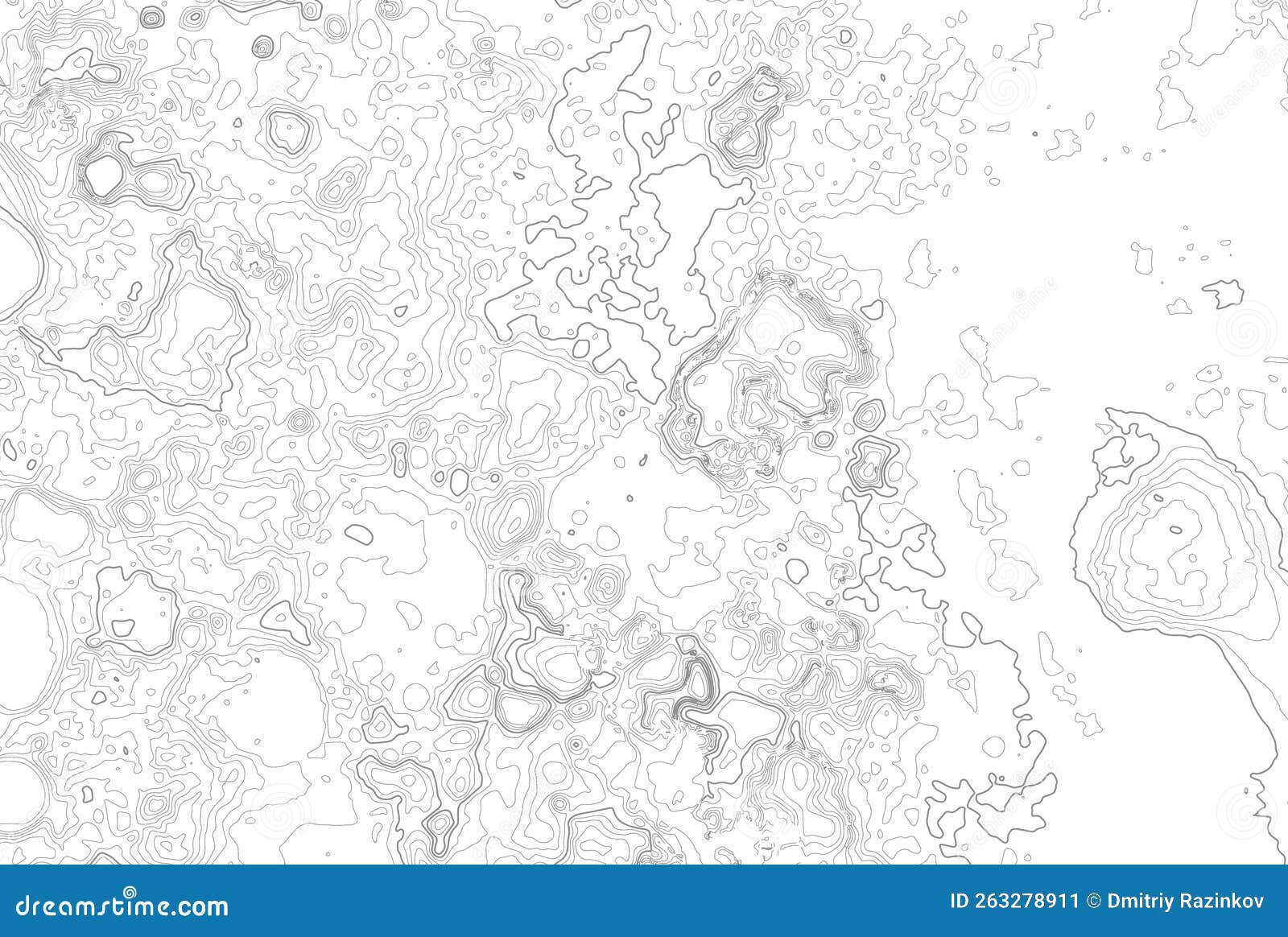 Topographic Map Contour Background. Topo Map with Elevation. Contour ...
