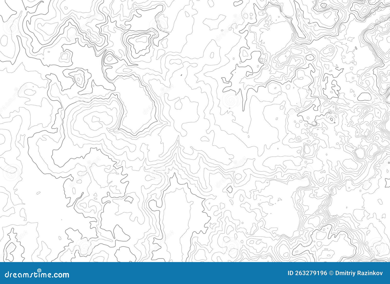 Topographic Map Contour Background Topo Map With Elevation Contour Map Vector Stock Vector